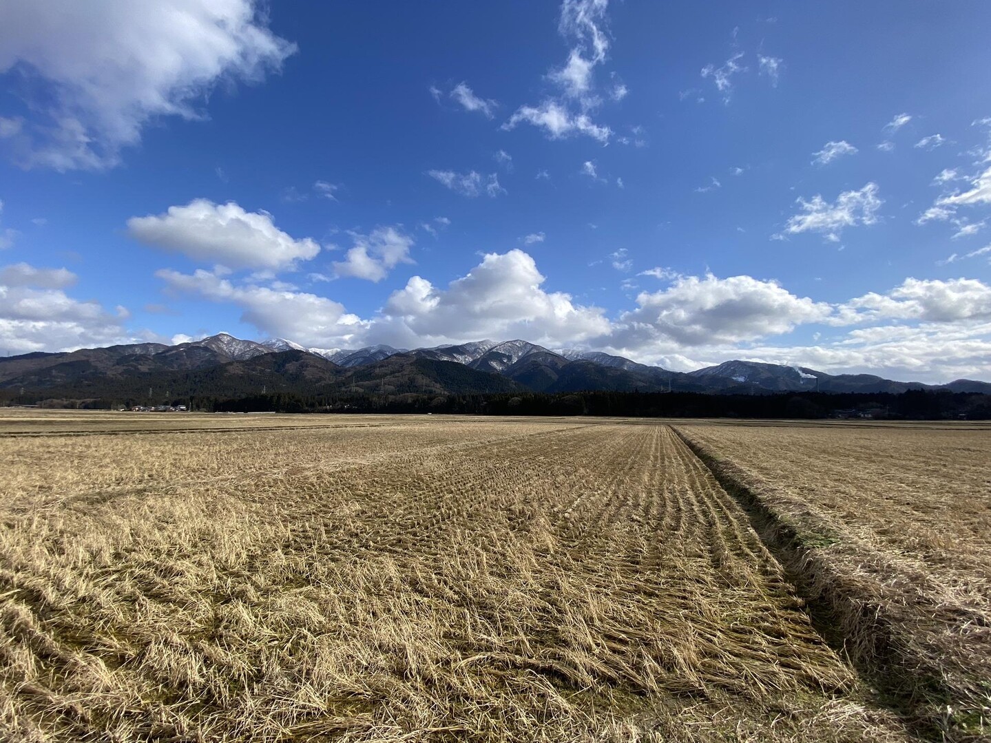 大蔵山・三五郎山・菅名岳 4th in 2024 / ROSSOさんの菅名岳・大蔵山・鳴沢峰の活動データ | YAMAP / ヤマップ
