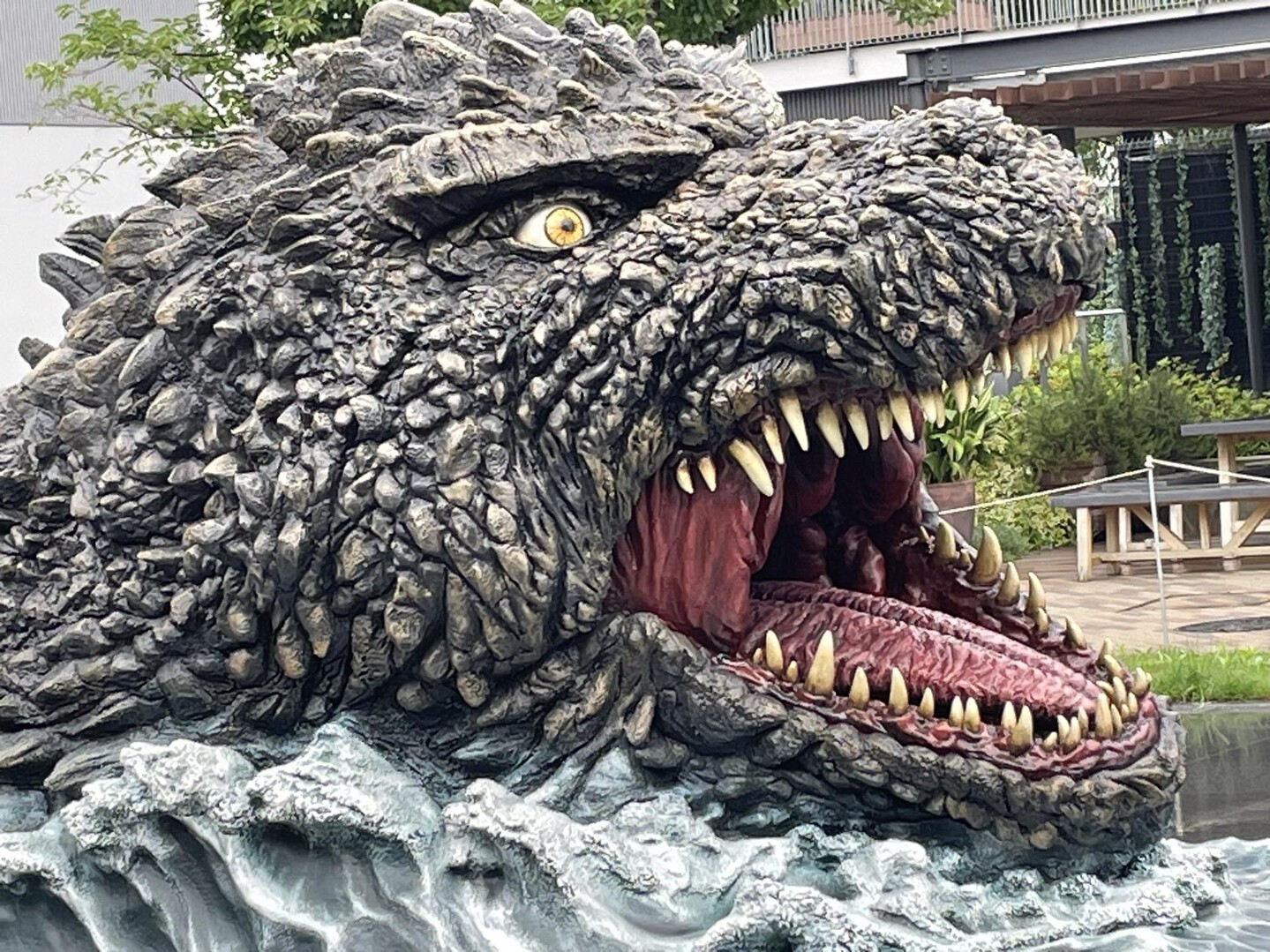 熊🐻出現率が高そうで山から遠のいていま... / ha-saさんのモーメント | YAMAP / ヤマップ