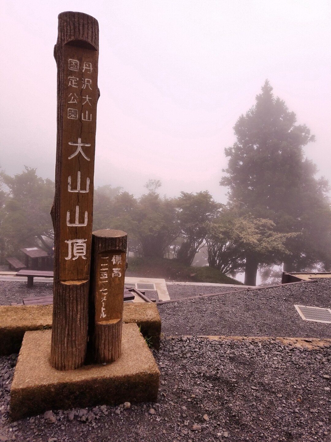 大山 / el28さんの大山の活動データ | YAMAP / ヤマップ