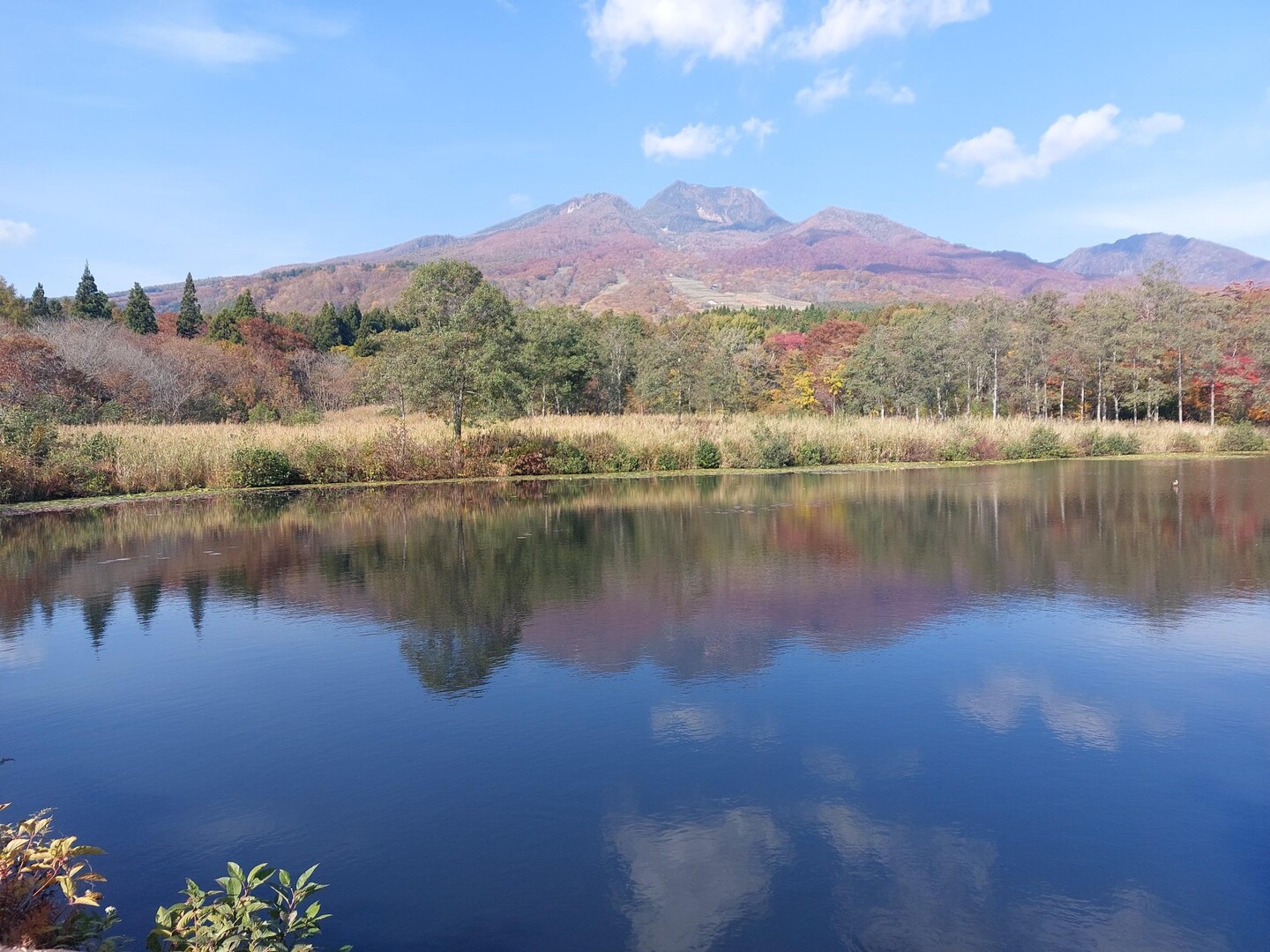 また「いもり池」へ。 今日は、スッキリ晴... / Guest_624792サザエさんさんのモーメント | YAMAP / ヤマップ