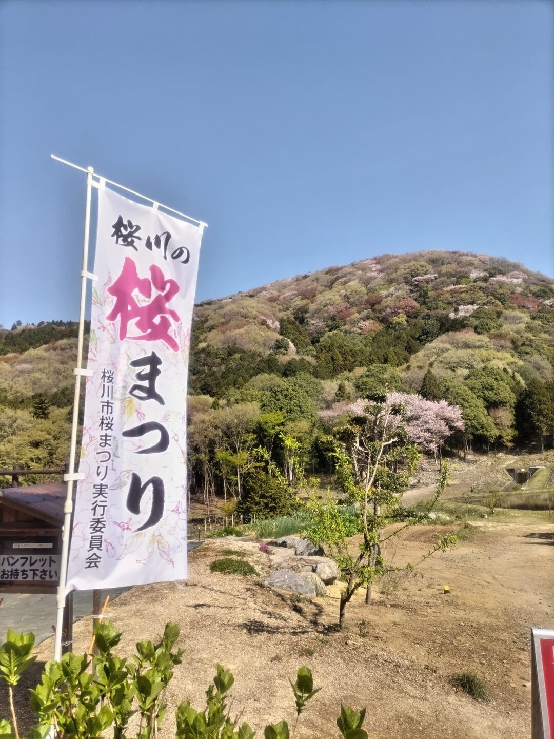 高峯(桜川のヤマザクラ) / showさんの高峯・仏頂山の活動データ | YAMAP / ヤマップ