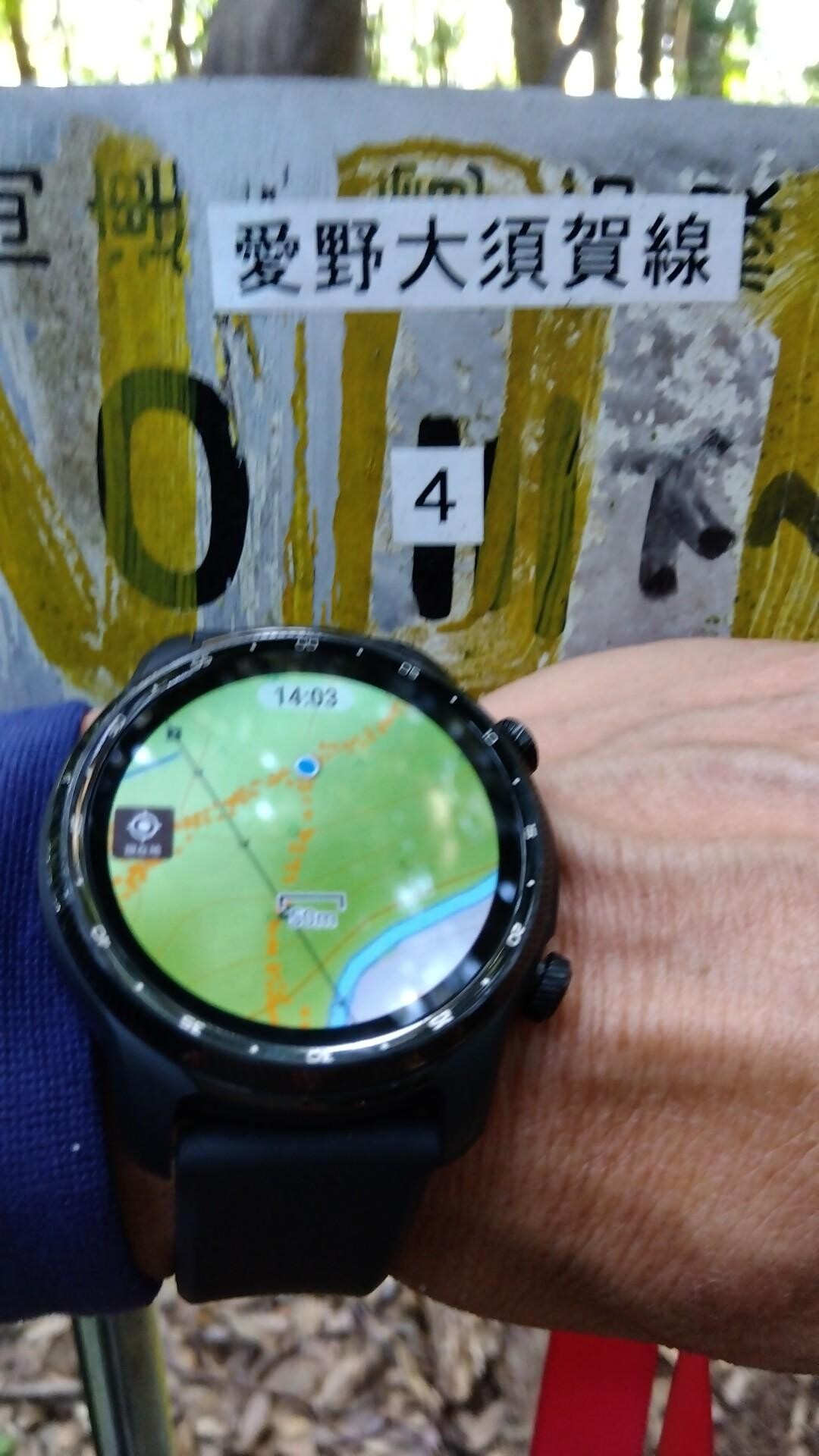 三ツ峰南西尾根+TicWatch Pro 3 Ultra GPS / k54さんの小笠山の活動データ | YAMAP / ヤマップ