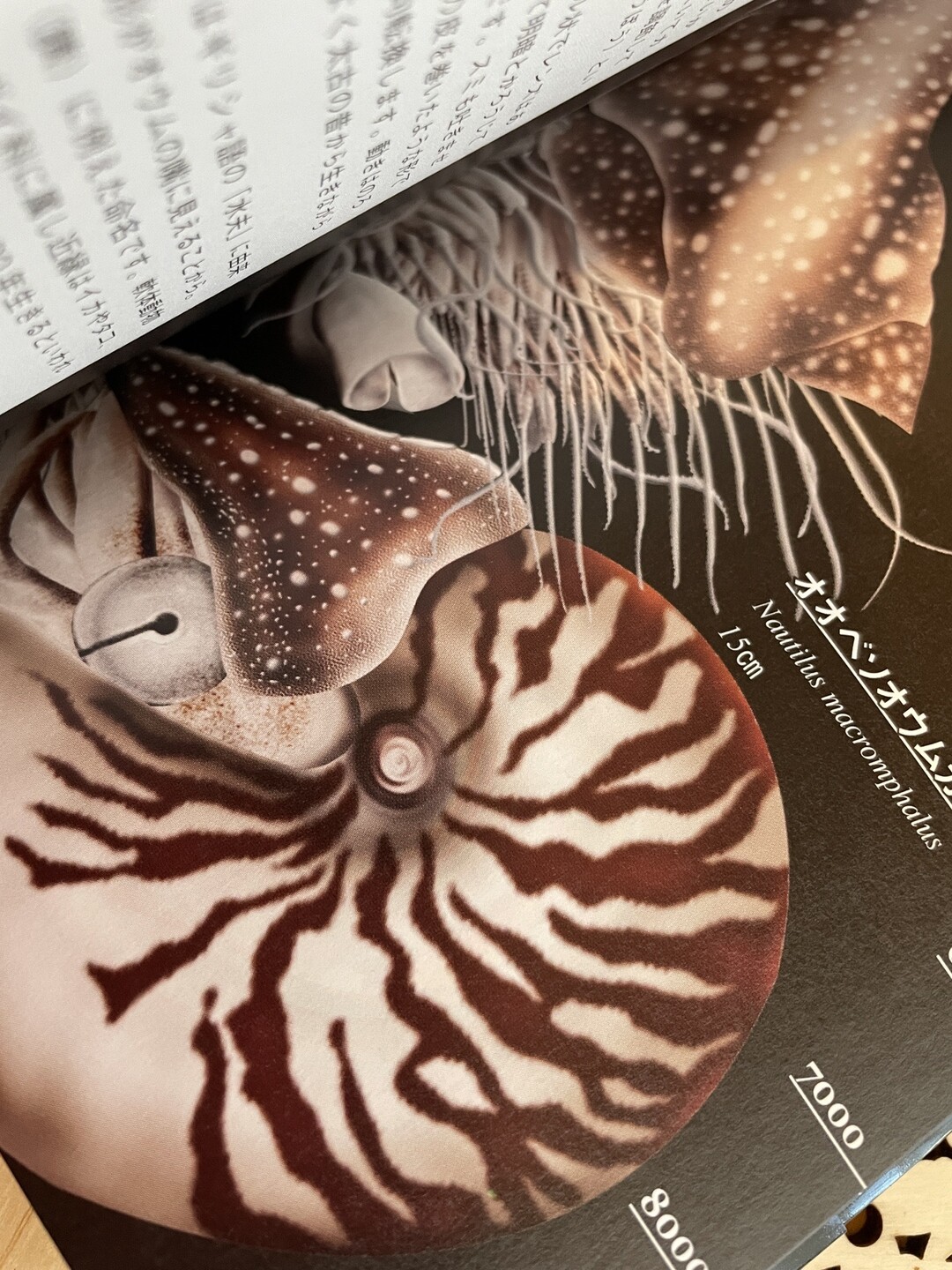 奥方のお友だちの旦那さまが、この度、出版... / hakuzanさんのモーメント | YAMAP / ヤマップ