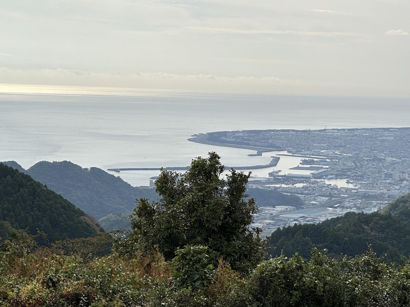 焼津アルプス 大ベラ山・満観峰 / lucky luckyさんの焼津アルプス（高草山・満観峰・花沢山）・徳願寺山の活動データ | YAMAP / ヤマップ