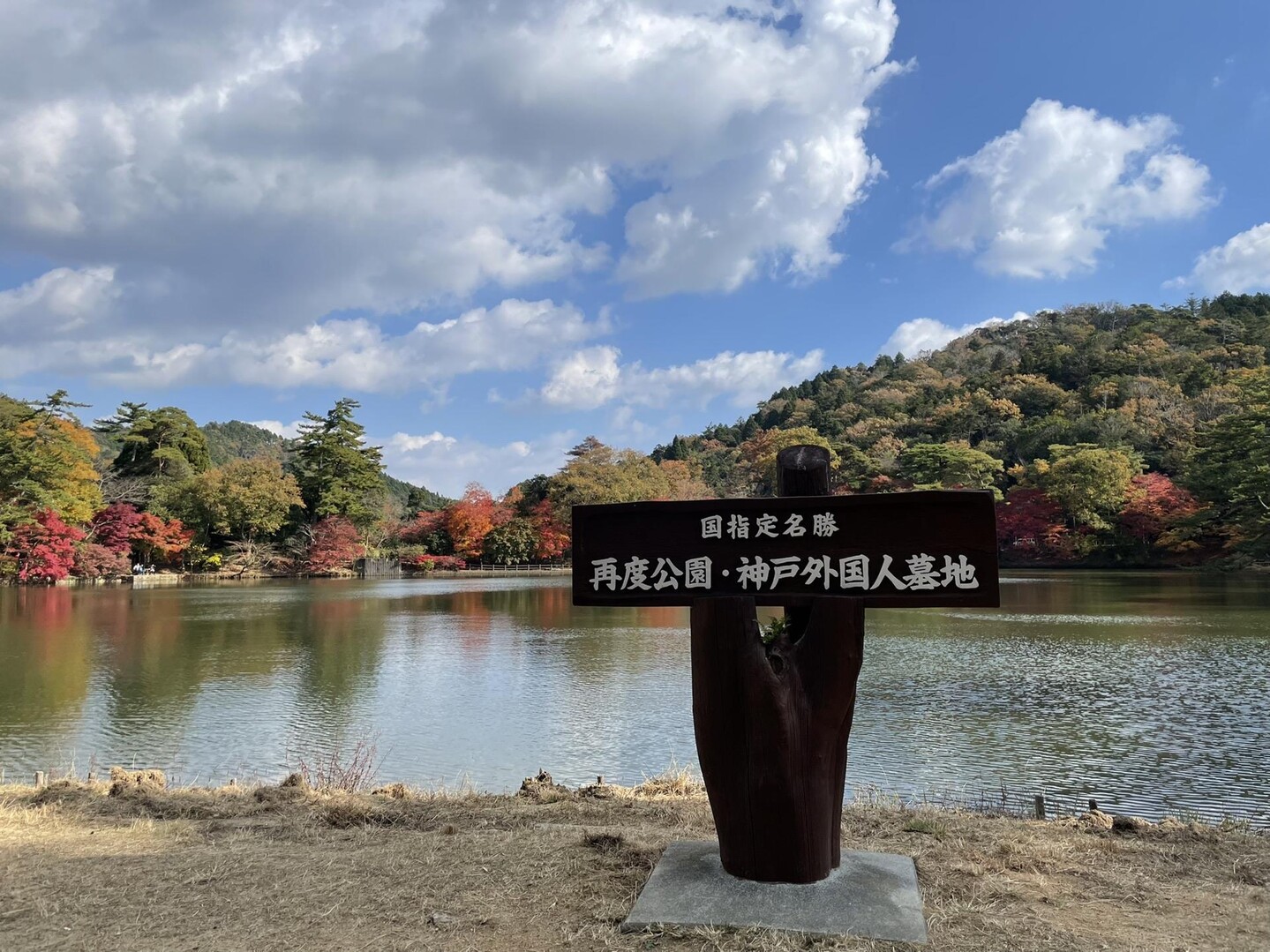 六甲山・長峰山・摩耶山-2022-11-16 / E.SZさんの六甲山・長峰山・摩耶山の活動データ | YAMAP / ヤマップ