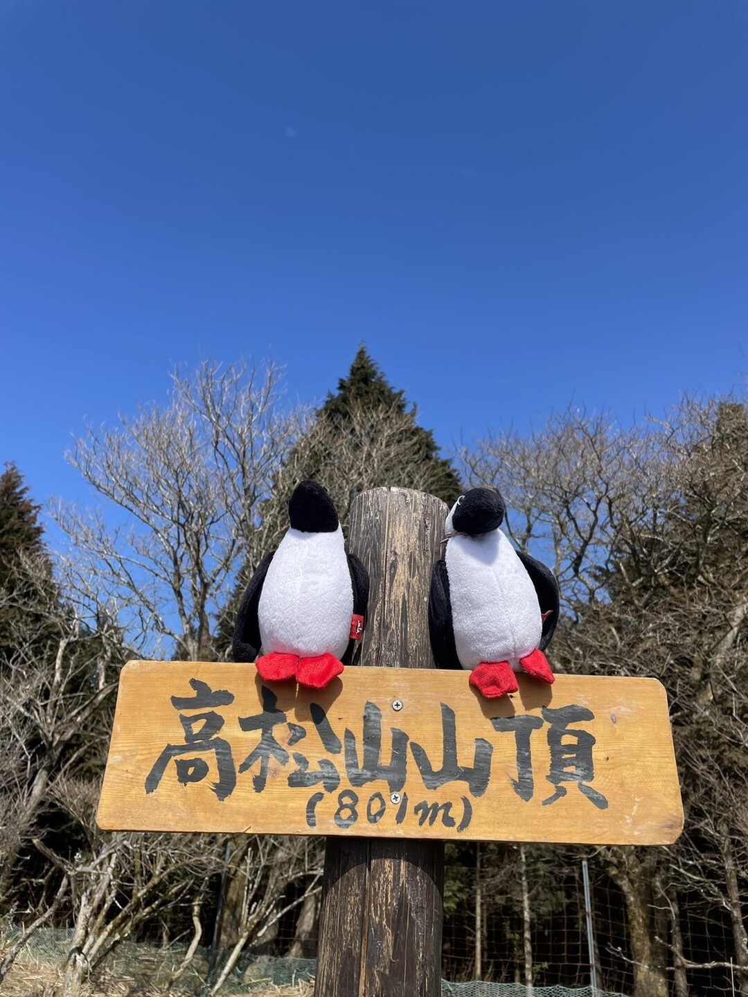 高松山 / synさんの高松山・大野山の活動データ | YAMAP / ヤマップ