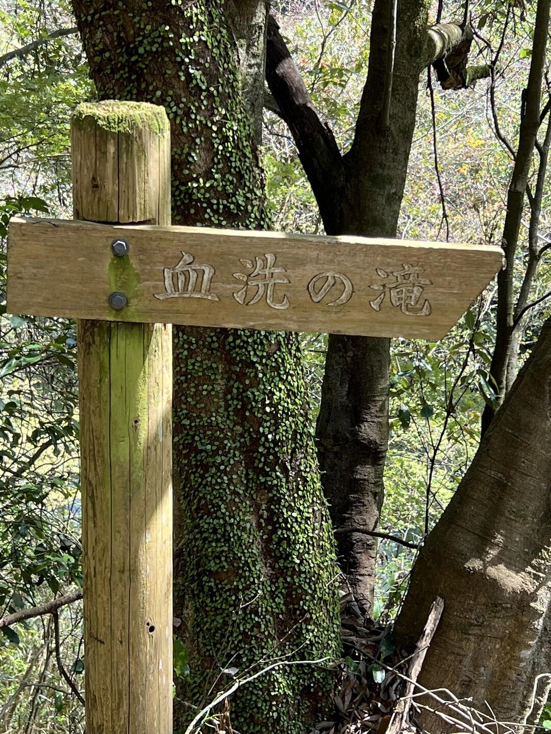 ちあらいの滝、本山寺散策なり / くらかんさんのモーメント | YAMAP / ヤマップ