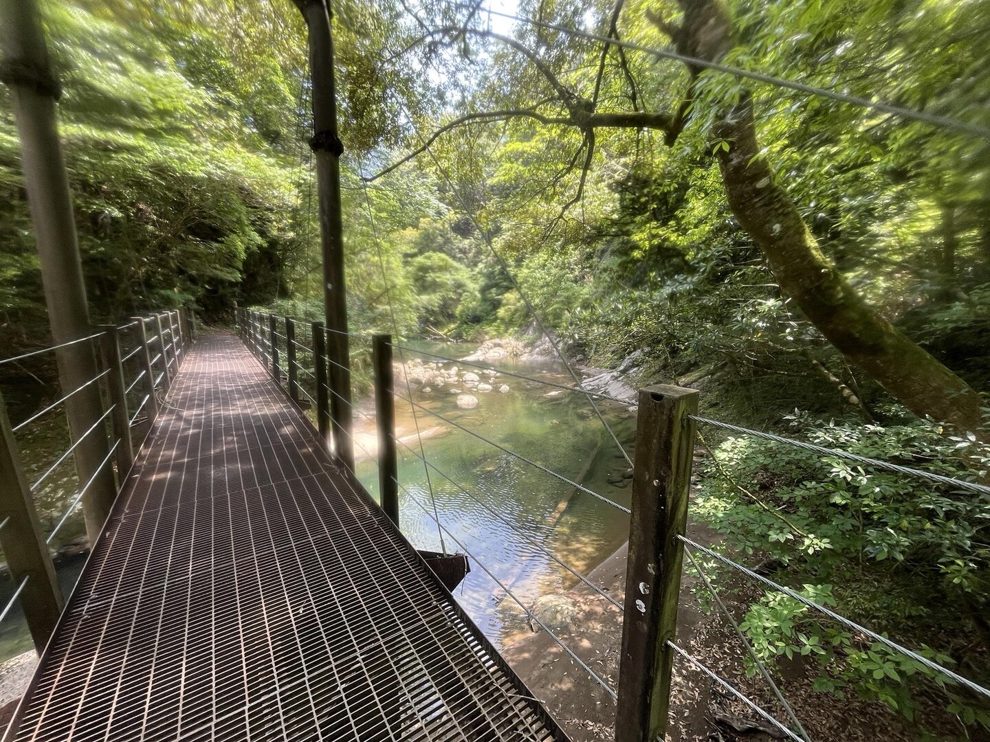 鏡洲の森トレイル-2023-05-21 / MADさんの鏡洲の森トレイルの活動データ | YAMAP / ヤマップ