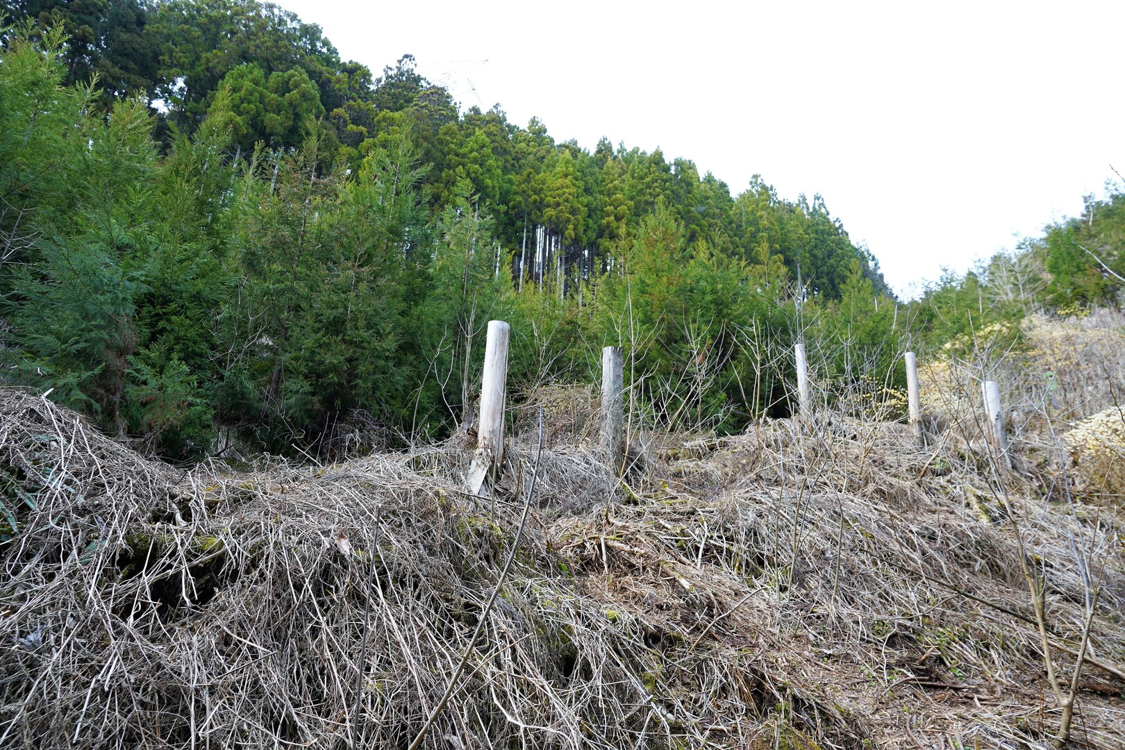 mats(まっつ)さんの投稿したフィールドメモ | YAMAP / ヤマップ