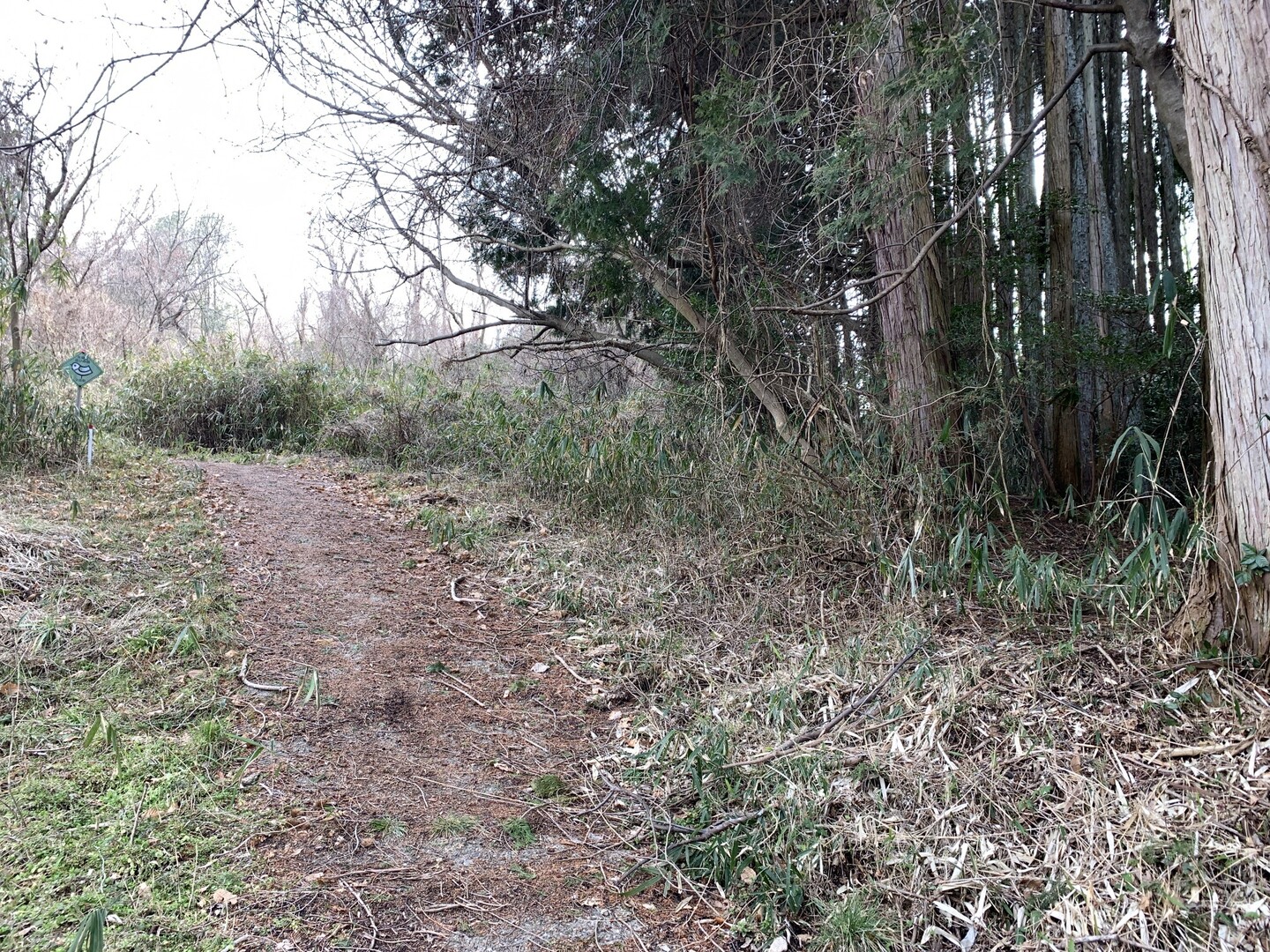 nonpui(ノンプイ)さんの投稿したフィールドメモ | YAMAP / ヤマップ