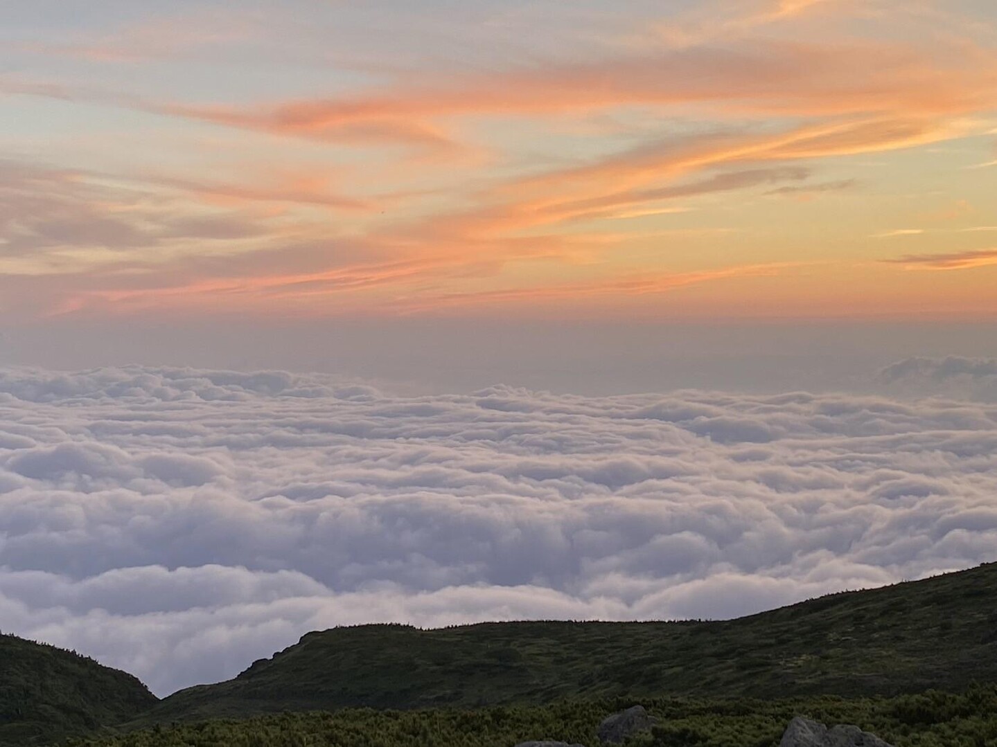 花の白山 / HIKARUさんの白山・別山・銚子ヶ峰の活動日記 | YAMAP / ヤマップ