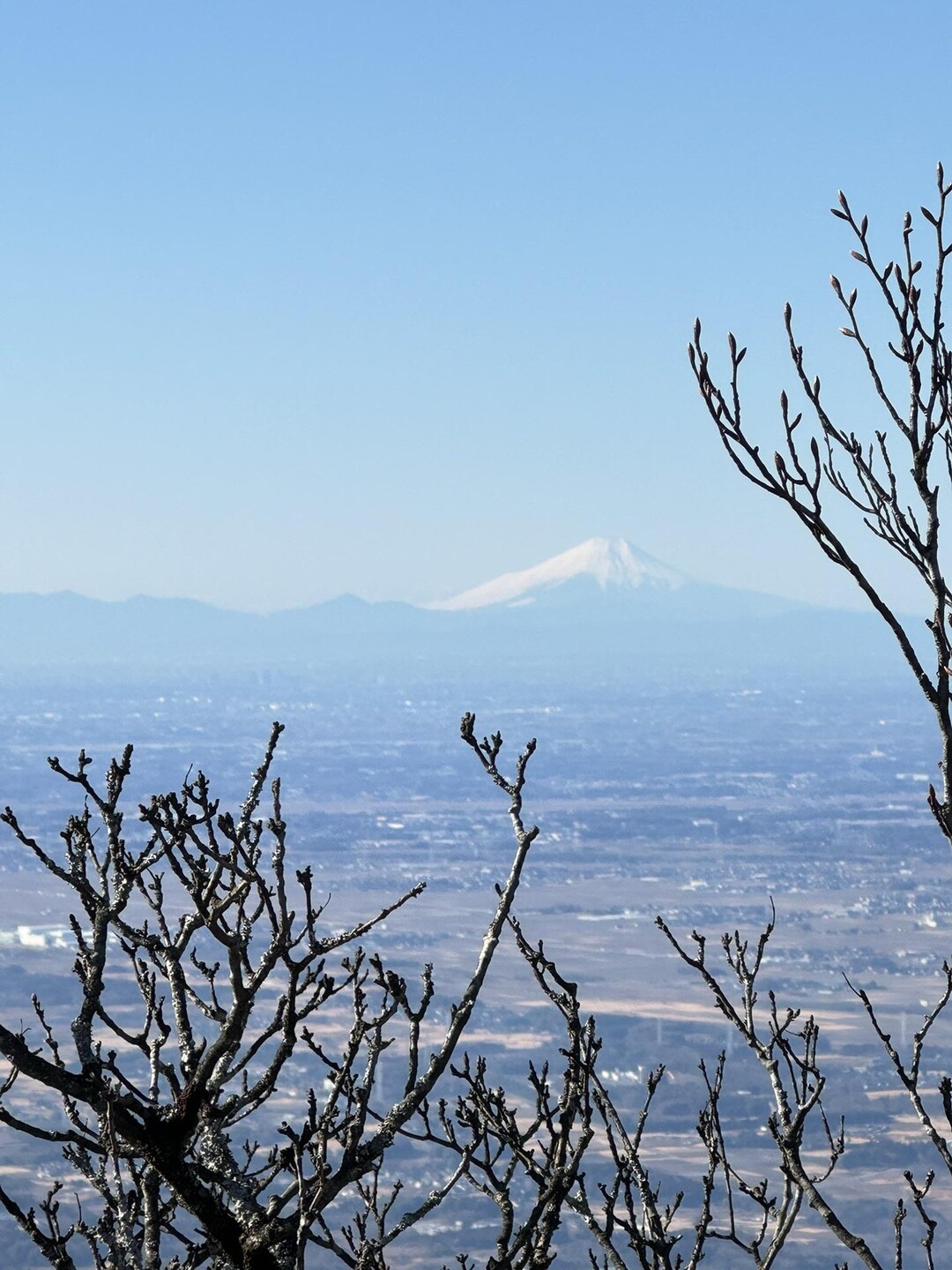 筑波山training / kumiさんの筑波山の活動データ | YAMAP / ヤマップ