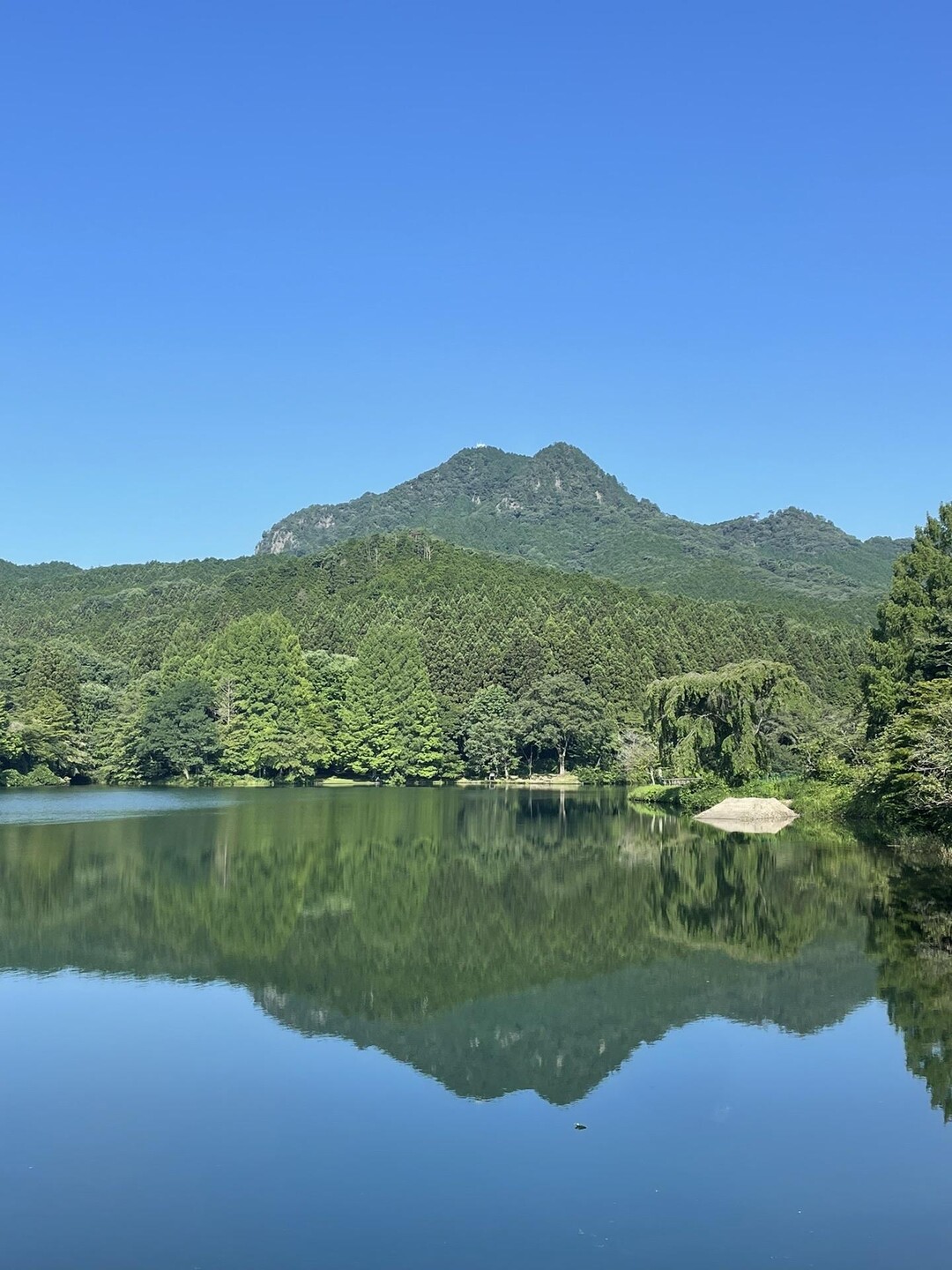 甥っ子と登山 / 山パンダ🐼さんの古賀志山・赤岩山・鞍掛山・男抱山・半蔵山の活動データ | YAMAP / ヤマップ