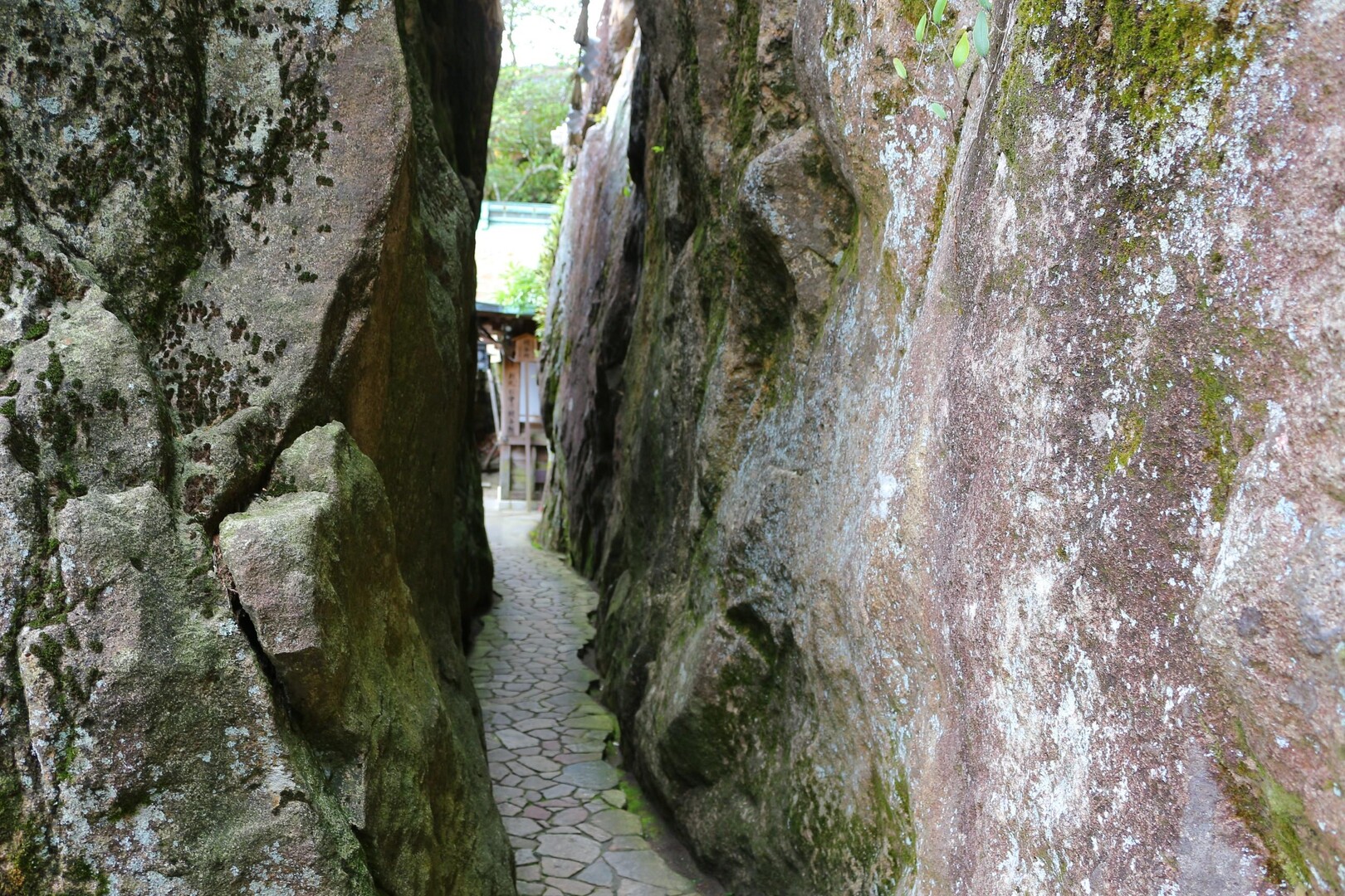 太郎坊山・箕作山・小脇山・岩戸山-2024-5-12 / kaiさんの箕作山・太郎坊山の活動データ | YAMAP / ヤマップ