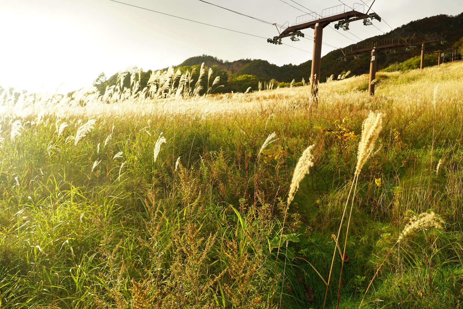 蔵王温泉の周りをぐるっと一周 / mss53さんの蔵王山・雁戸山・不忘山の活動データ | YAMAP / ヤマップ