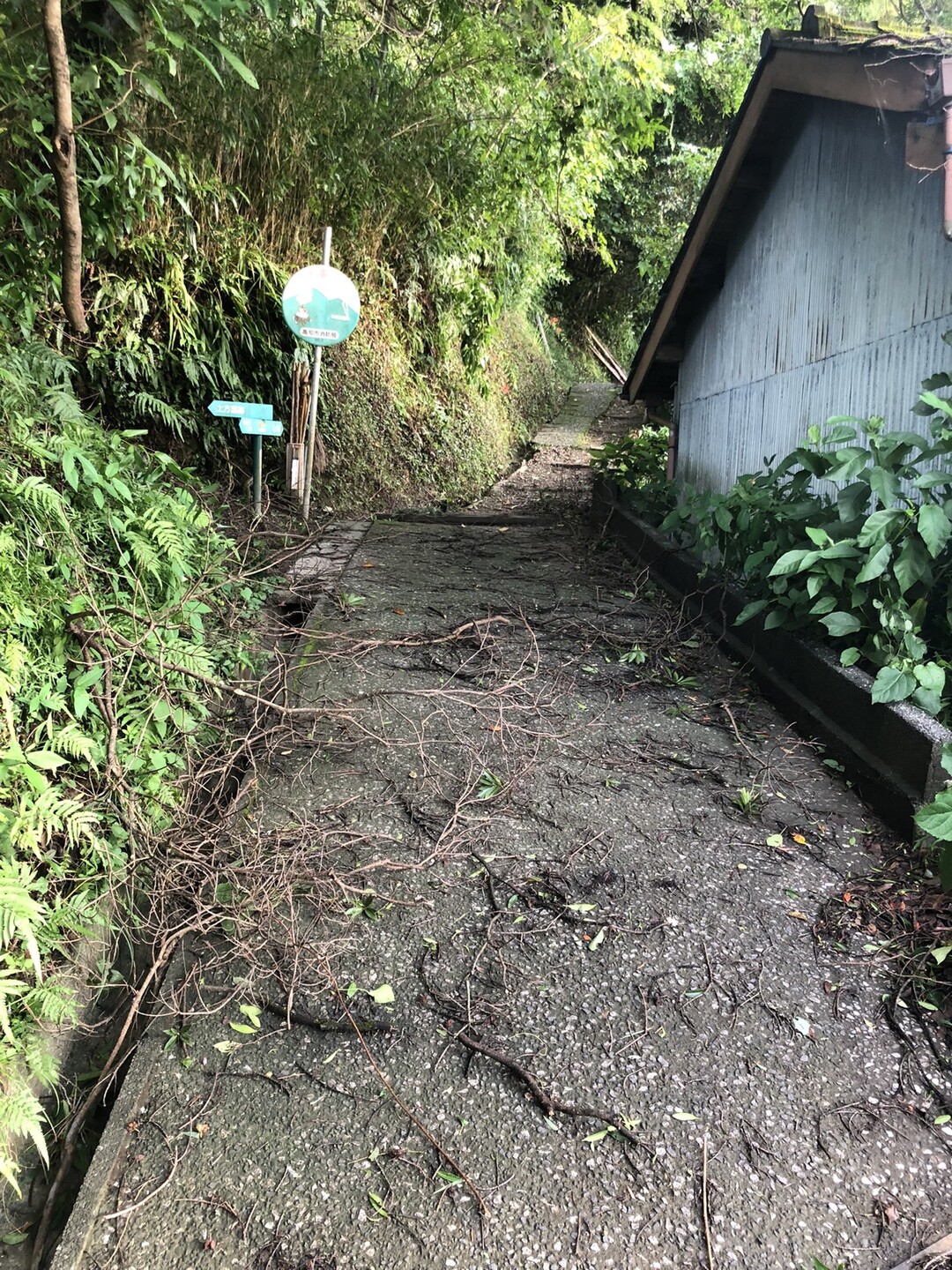 高知市 七ツ淵神社 台風パトロール / なっすんさんのモーメント | YAMAP / ヤマップ