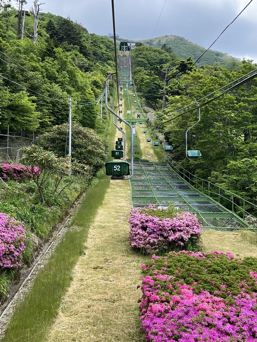 6/14 (金) Oh my god ... / yoga3さんのモーメント | YAMAP / ヤマップ