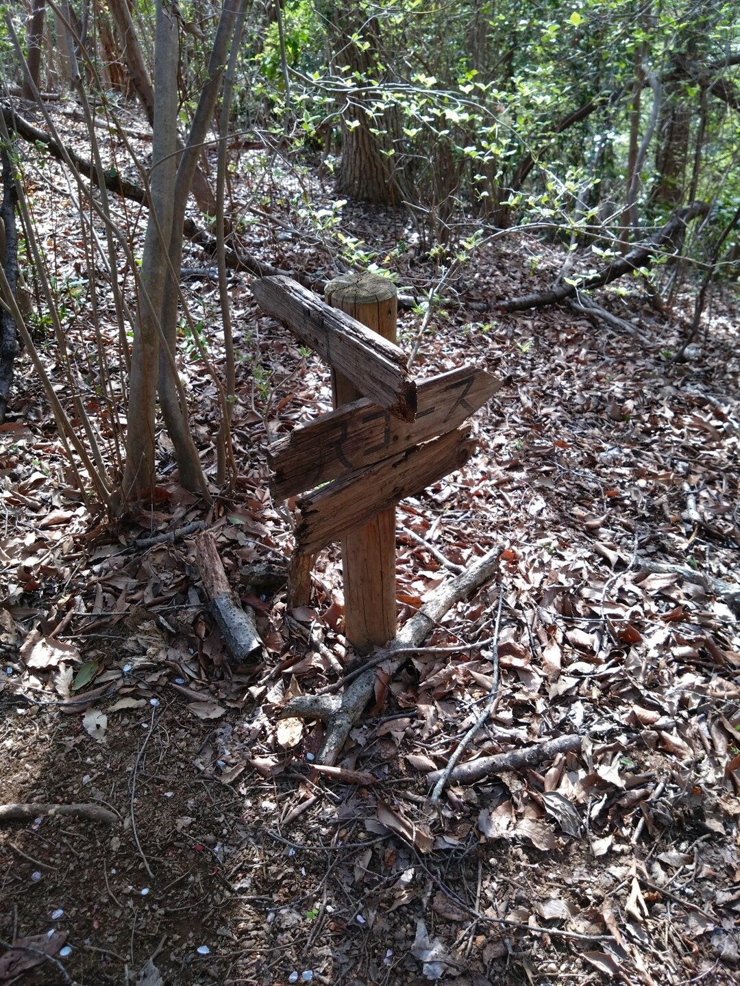 Nagaさんの投稿したフィールドメモ | YAMAP / ヤマップ