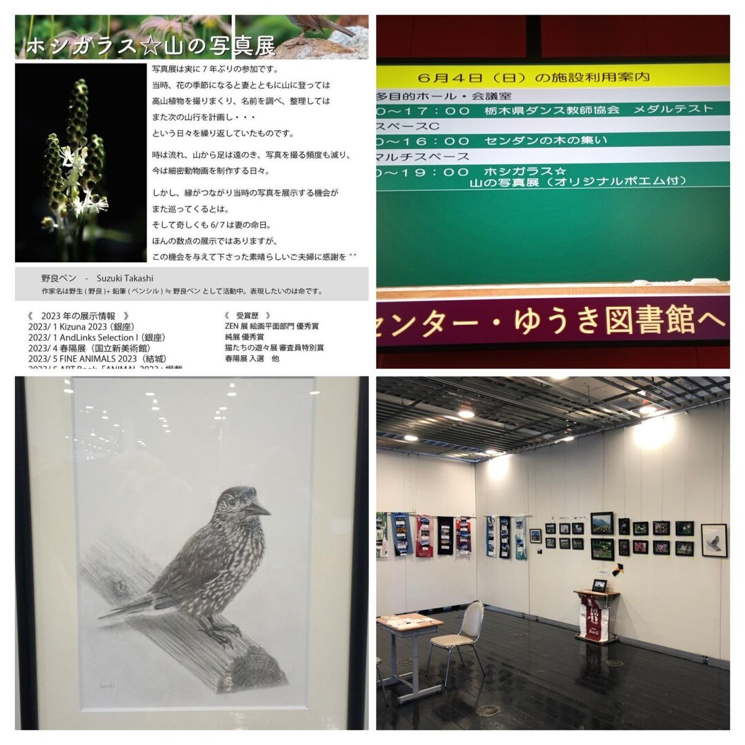 いよいよﾎｼｶﾞﾗｽ☆による山の写真展第... / Iwanekoさんのモーメント | YAMAP / ヤマップ