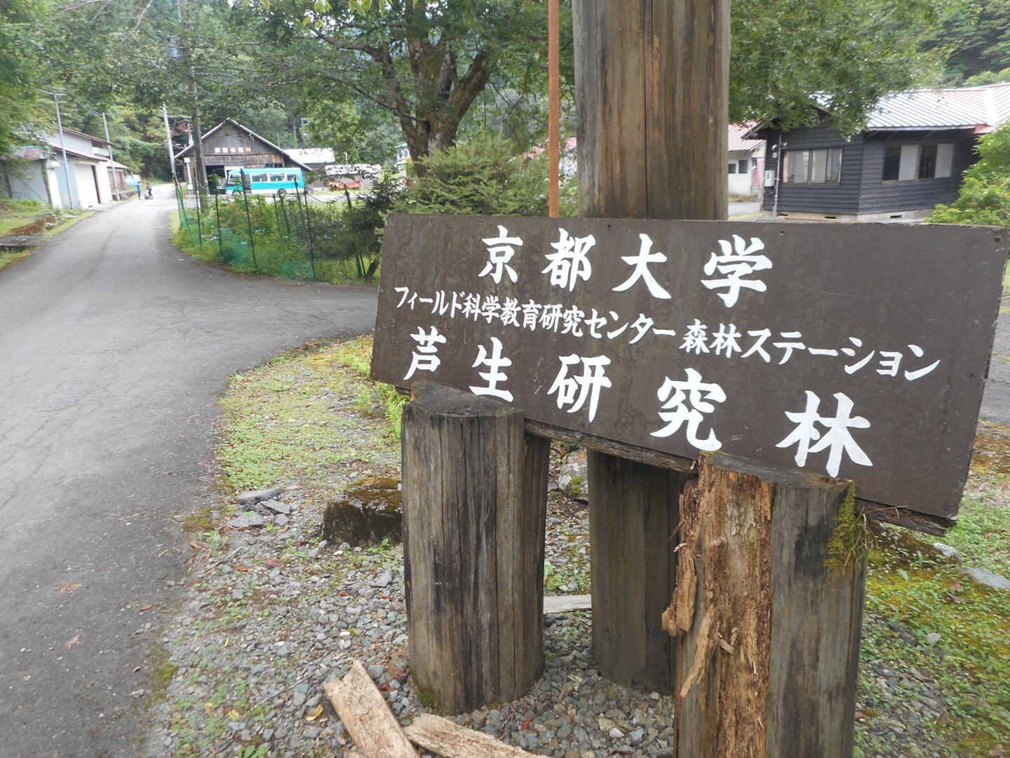 大段谷山 残念！ / keijiさんの美山川の活動データ | YAMAP / ヤマップ