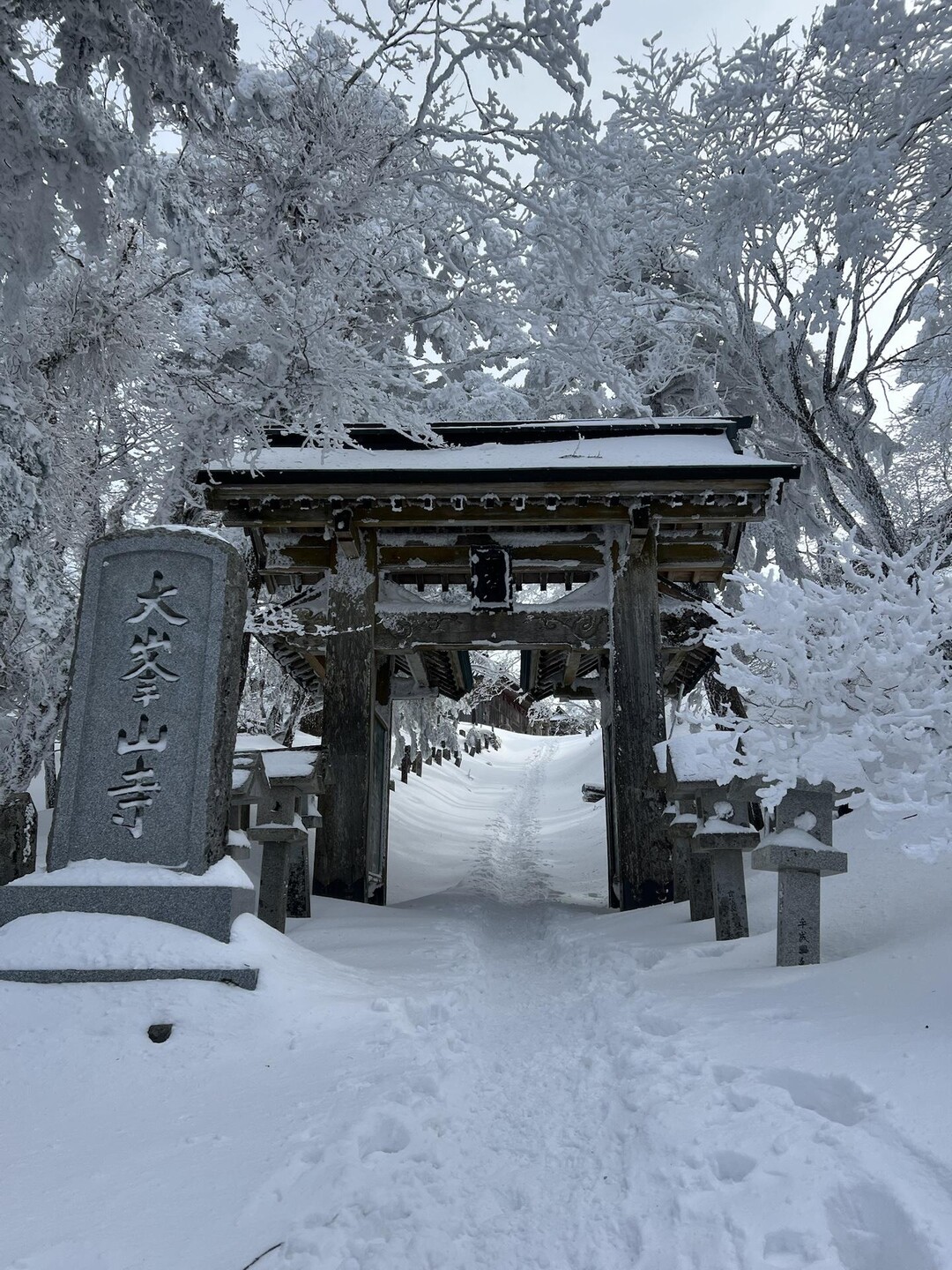 山上ヶ岳 / tomcatさんの観音峯山・大普賢岳・山上ヶ岳・稲村ヶ岳の活動データ | YAMAP / ヤマップ