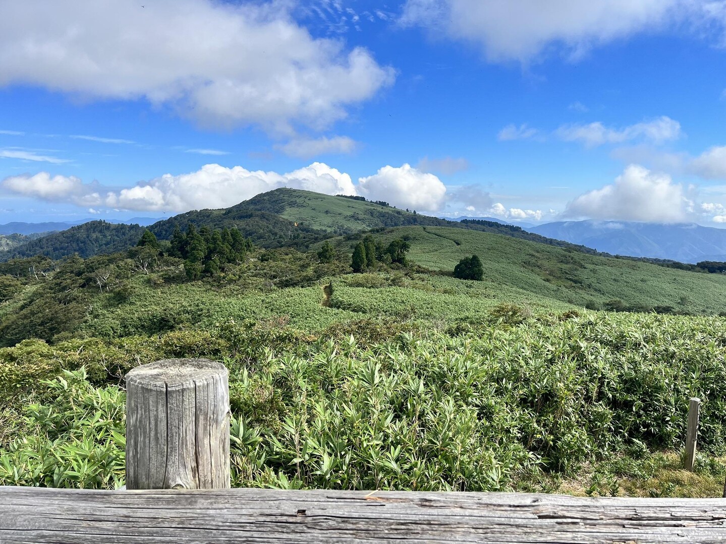 氷ノ山（坂の谷コース）※少し楽 / 初級者R.Nさんの氷ノ山（須賀ノ山）・鉢伏山・瀞川山の活動データ | YAMAP / ヤマップ