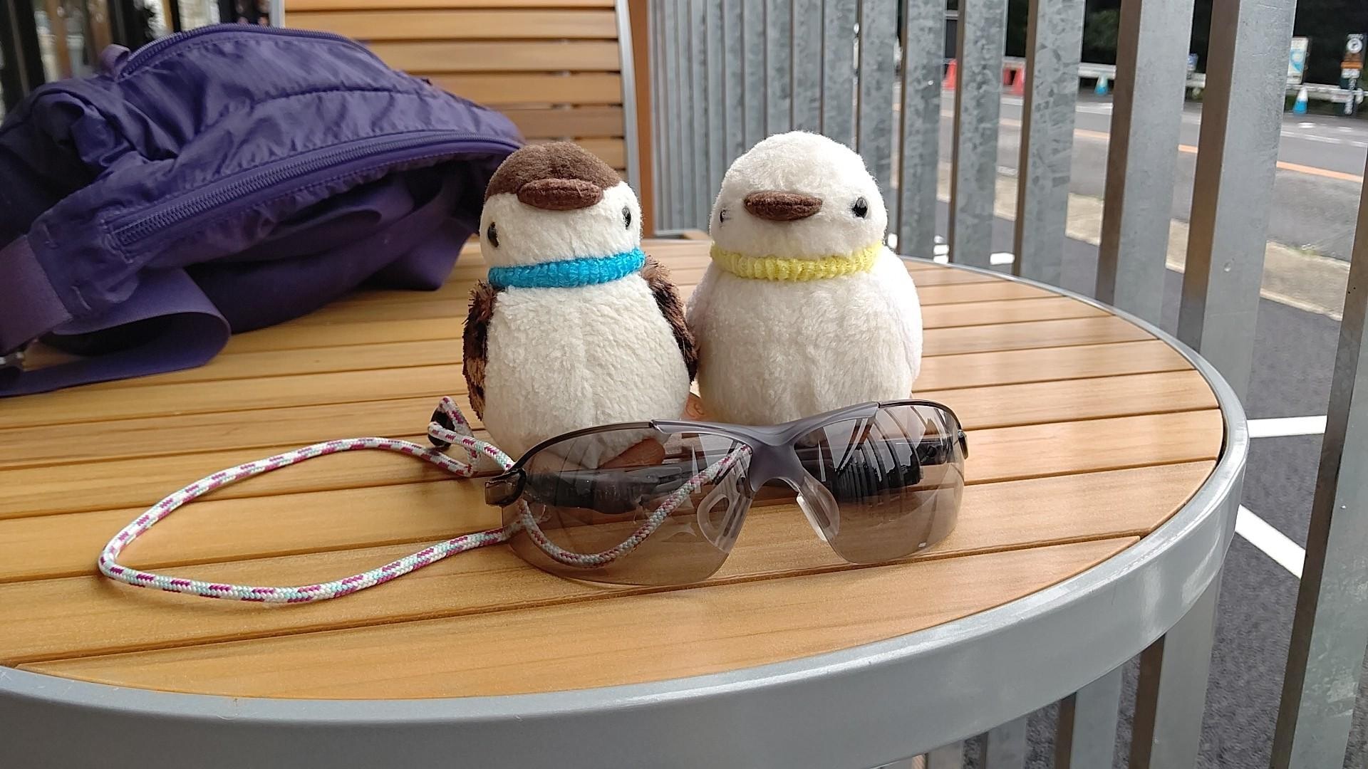 🌫☔筑波山（女体山）・筑波山（男体山） / *yukapico**さんの筑波山の活動データ | YAMAP / ヤマップ