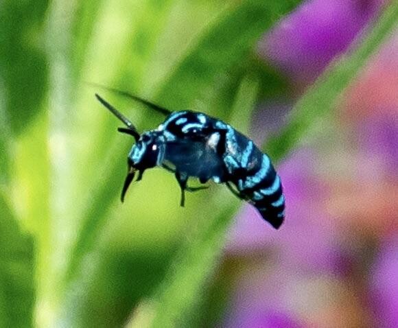 su-のページ | YAMAP / ヤマップ