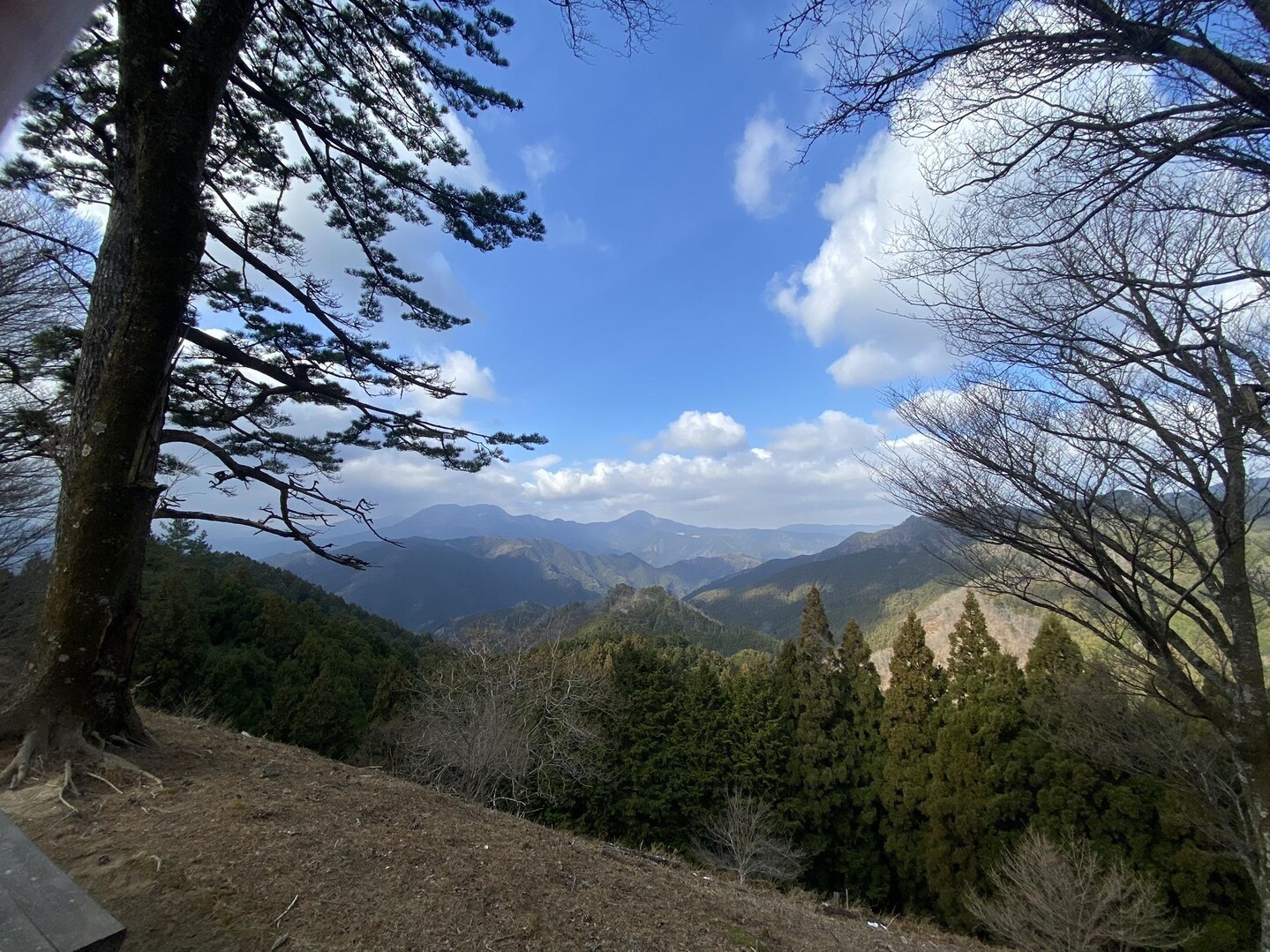 霧山(霧山城跡と北畠神社) / ari papaさんの三峰山・学能堂山・栗ノ木岳の活動データ | YAMAP / ヤマップ