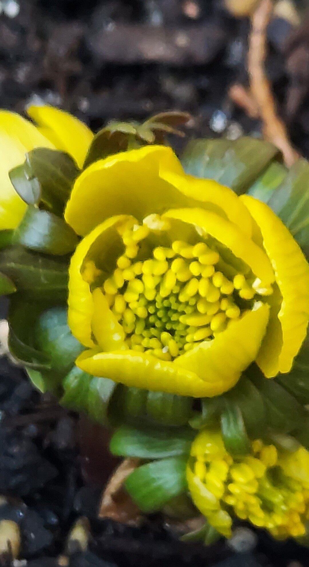 2021.02.20(土) 07:44 / まるまさんのモーメント | YAMAP / ヤマップ