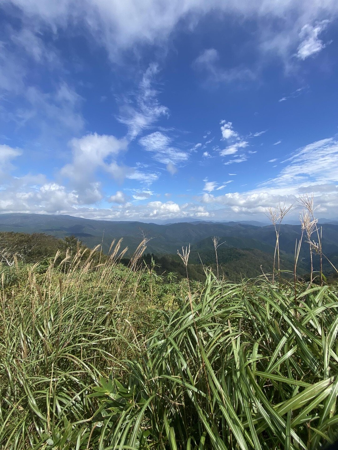 赤谷山 / makiさんの赤谷山の活動データ | YAMAP / ヤマップ