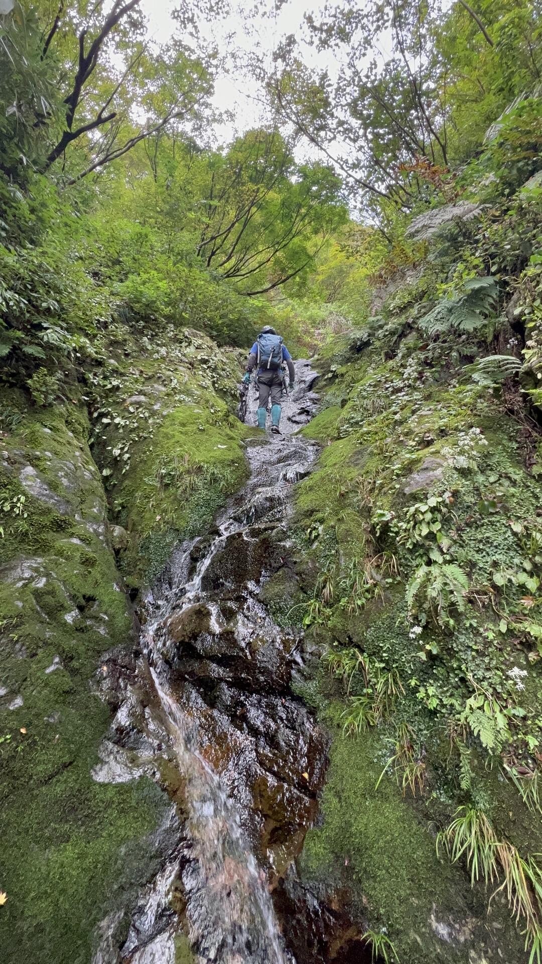 沢登り 富士写ヶ岳 / yamakazuさんのモーメント | YAMAP / ヤマップ
