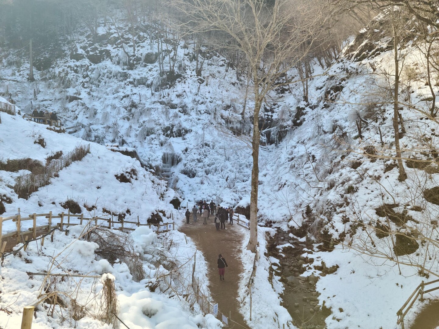 2年ぶりにあしがくぼの氷柱を見に行きまし... / K.KAZUさんのモーメント | YAMAP / ヤマップ