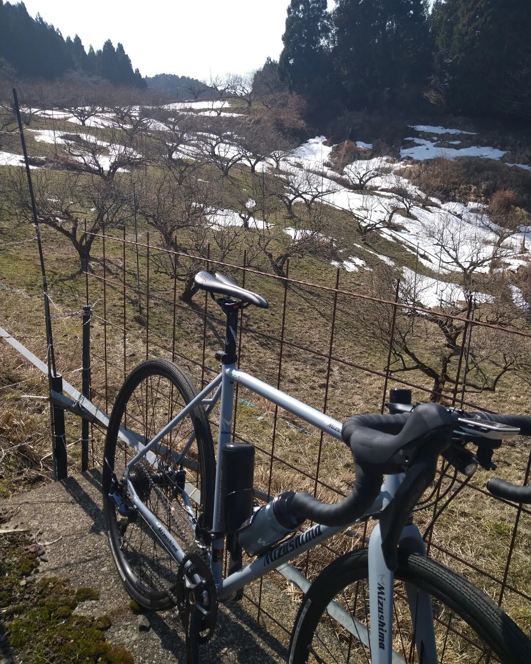 ようやく初ライド(^_^;) 今泉の梅園... / ryuji_taketan18さんのモーメント | YAMAP / ヤマップ