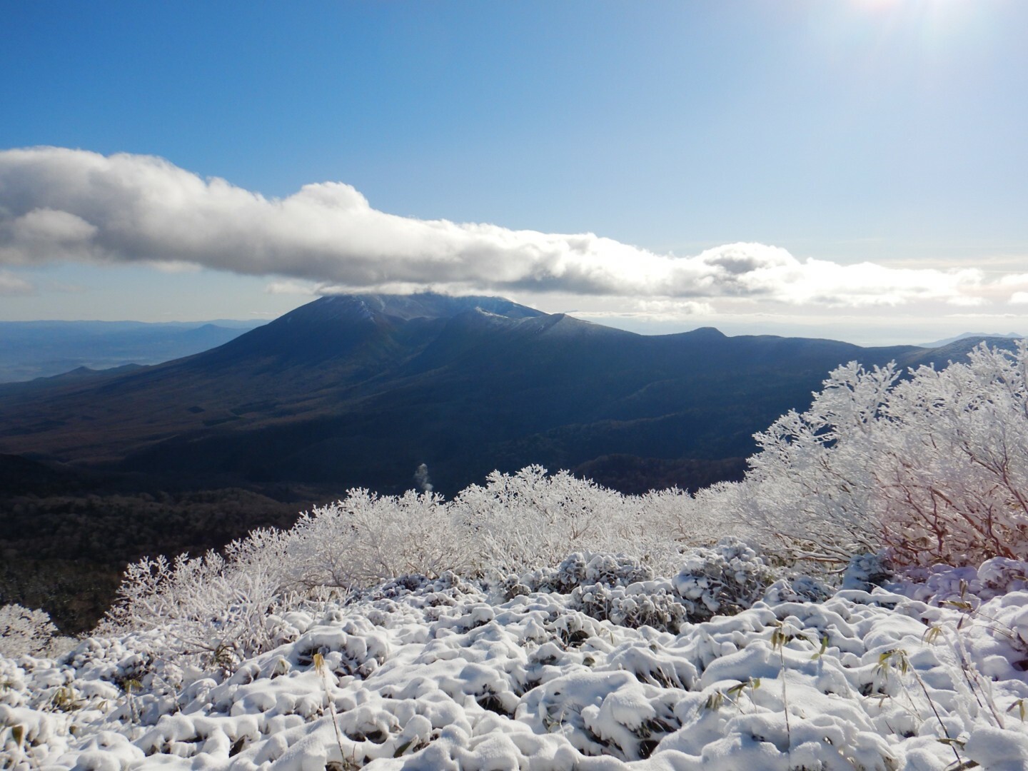 初冬の裏岩手 / TOY'z syoudaさんの三ッ石山・大深岳・諸桧岳の活動データ | YAMAP / ヤマップ