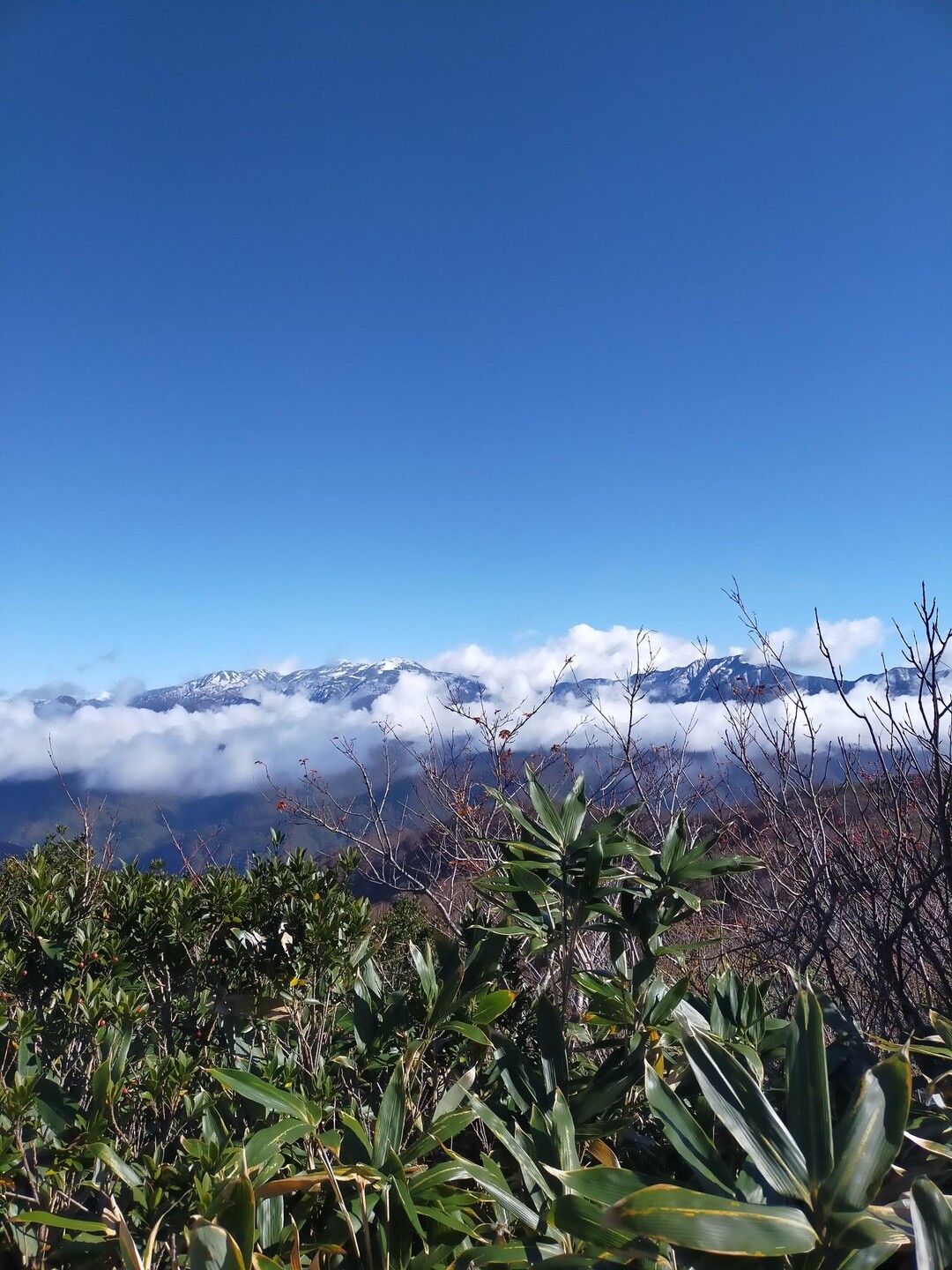 赤兎山 / ハヤテさんの赤兎山・猪鼻山の活動データ | YAMAP / ヤマップ