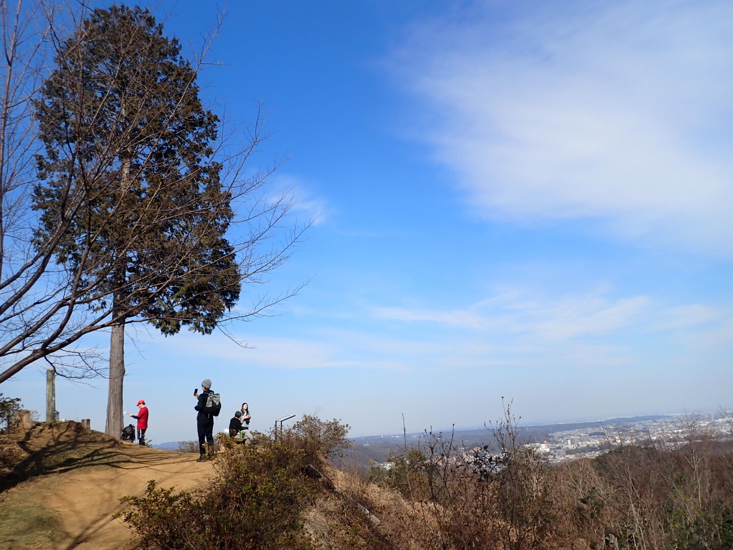 赤ぼっこ 愛宕山・要害山・天狗岩 / mikaさんの赤ぼっこの活動データ | YAMAP / ヤマップ