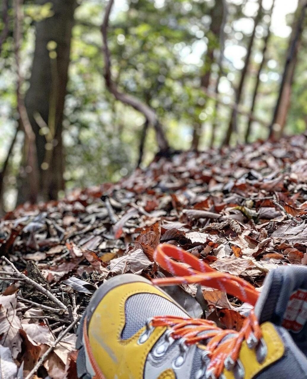 haruのページ | YAMAP / ヤマップ