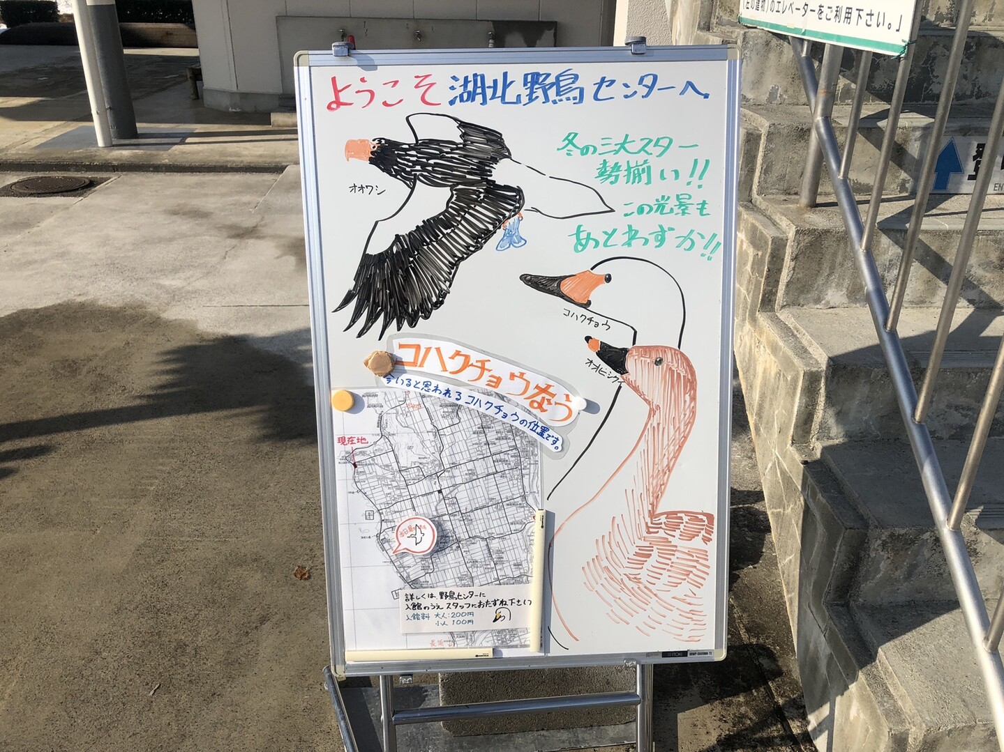 かみさんのリクエスト1 湖北野鳥センター... / たけのこ zi ziさんのモーメント | YAMAP / ヤマップ