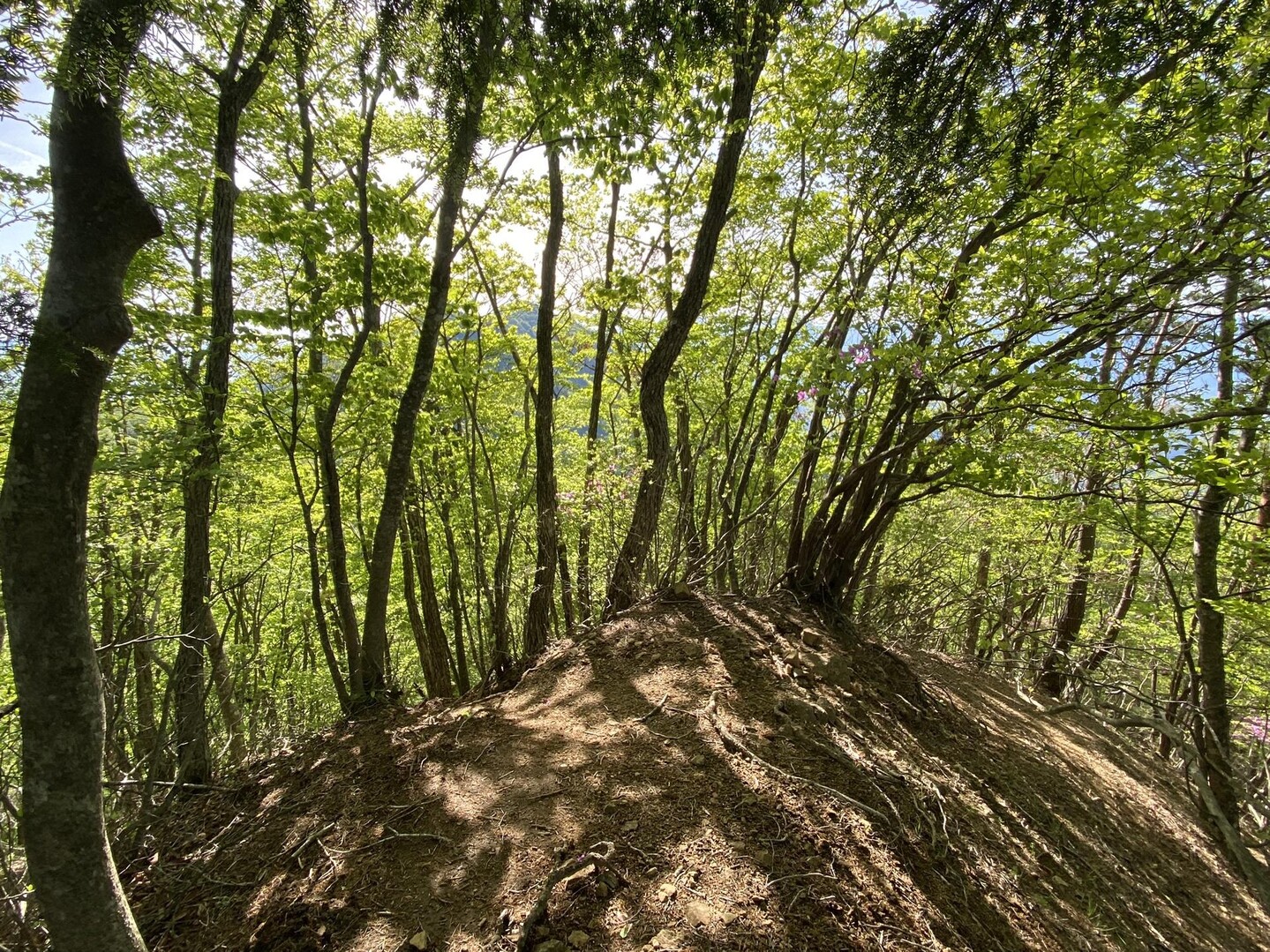 Hase100さんの投稿したフィールドメモ | YAMAP / ヤマップ