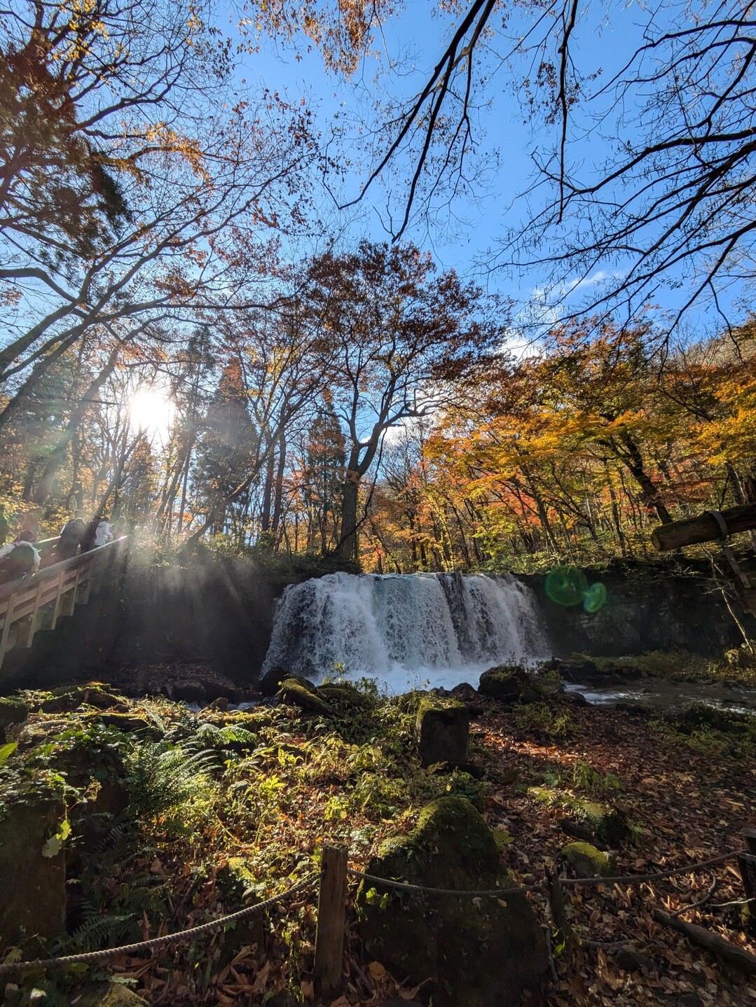 奥入瀬渓流 / ryo_chiroさんの奥入瀬渓流の活動データ | YAMAP / ヤマップ