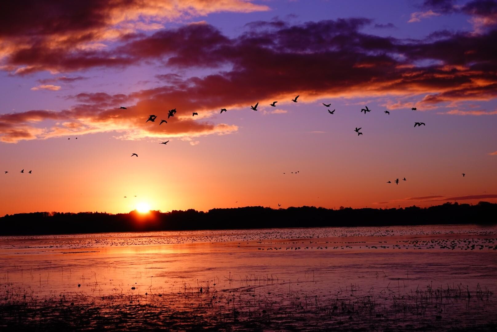 伊豆沼行ってみました。やっぱり初めてだと... / Y.Sさんのモーメント | YAMAP / ヤマップ