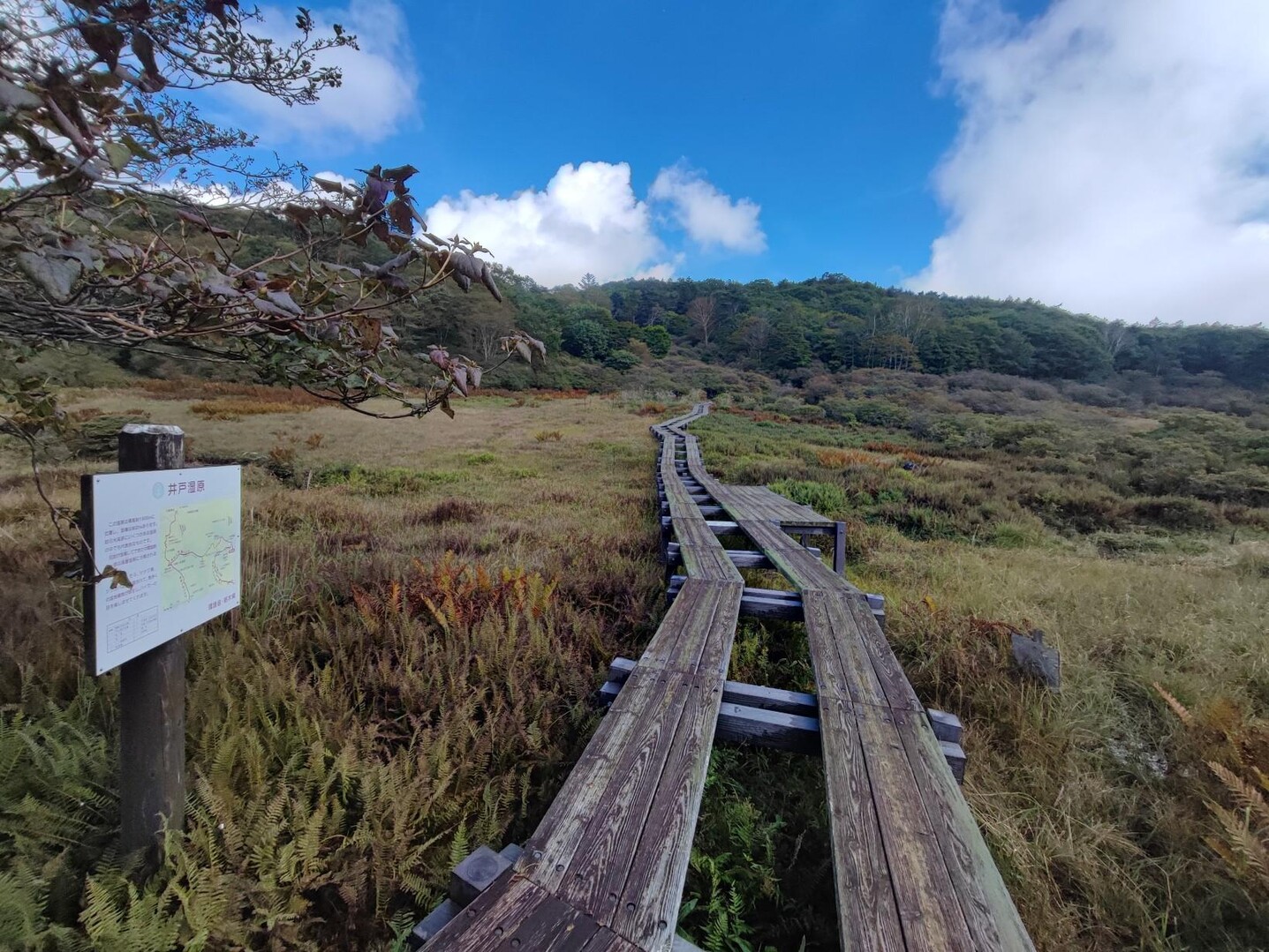 横根山・方塞山・勝雲山 / Goさんの横根山・方塞山・井戸湿原の活動データ | YAMAP / ヤマップ