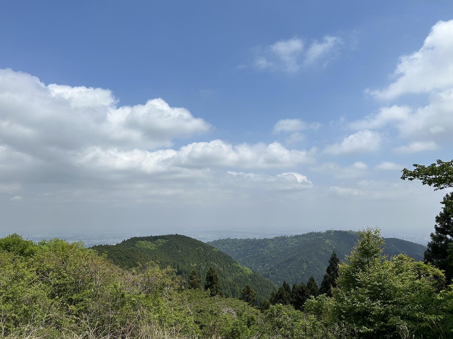 本日は久しぶりの高尾山！ 1号路→城山茶... / mieeさんのモーメント | YAMAP / ヤマップ