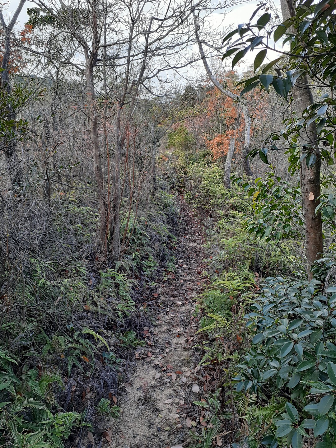 ko usさんの投稿したフィールドメモ | YAMAP / ヤマップ