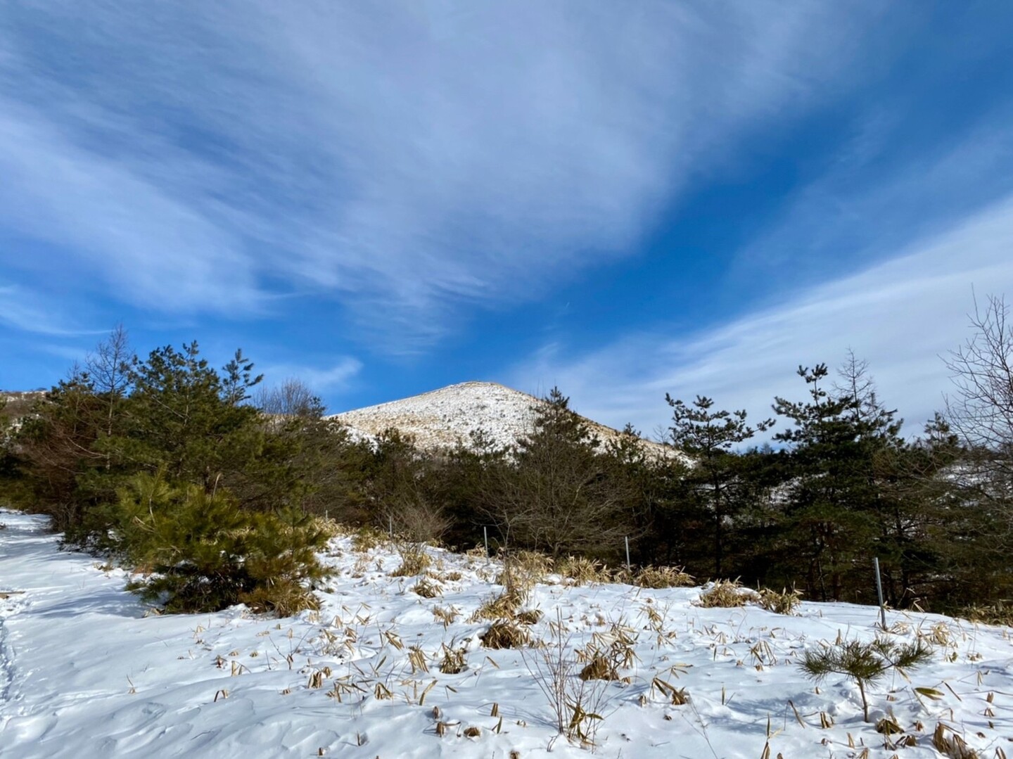 飯盛山 / Akoさんの飯盛山の活動データ | YAMAP / ヤマップ