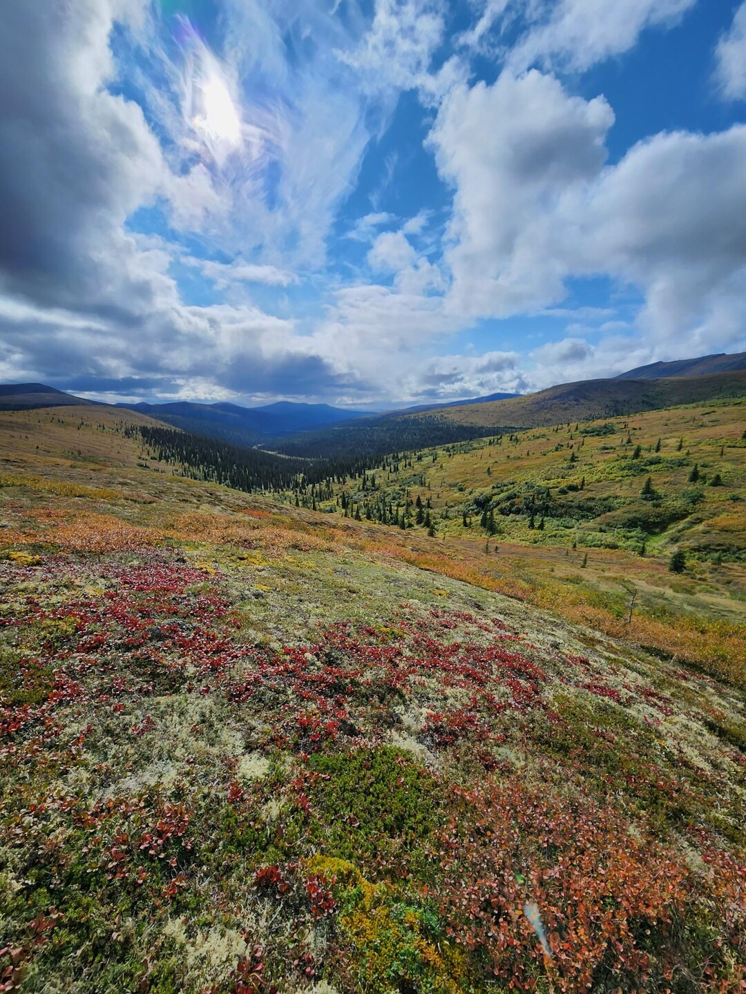2024年8月24日、アラスカ滞在10日... / KAZUさんのモーメント | YAMAP / ヤマップ