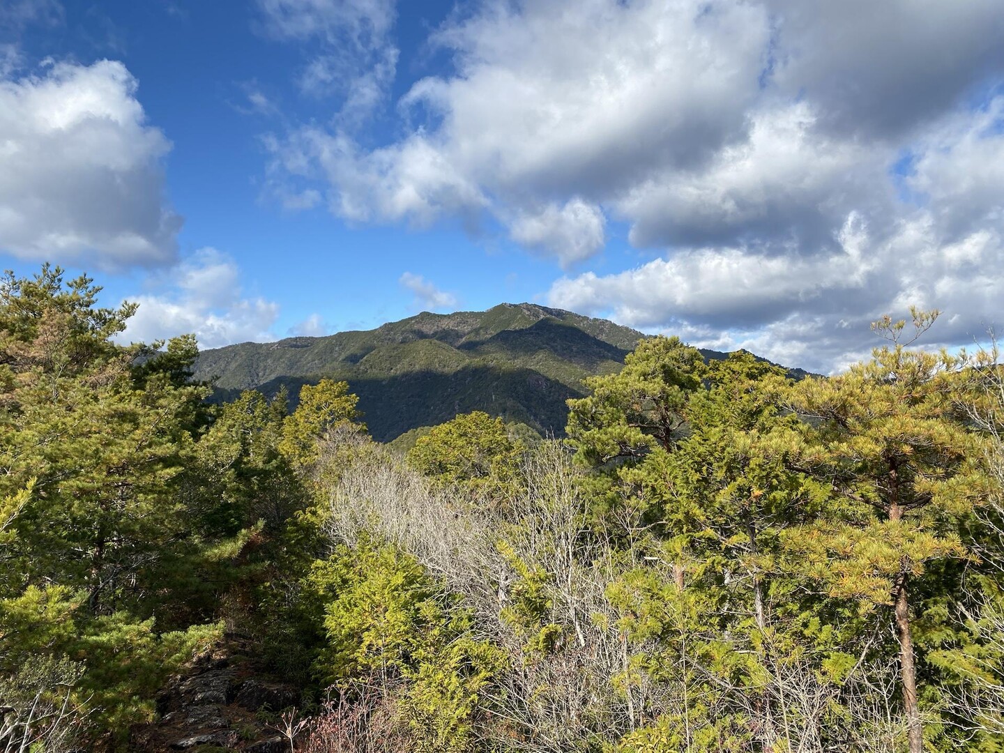 きつかったぁ。奥三河の…宇連山へ。 / M_Akkyさんの宇連山・鳳来寺山・岩古谷山の活動データ | YAMAP / ヤマップ