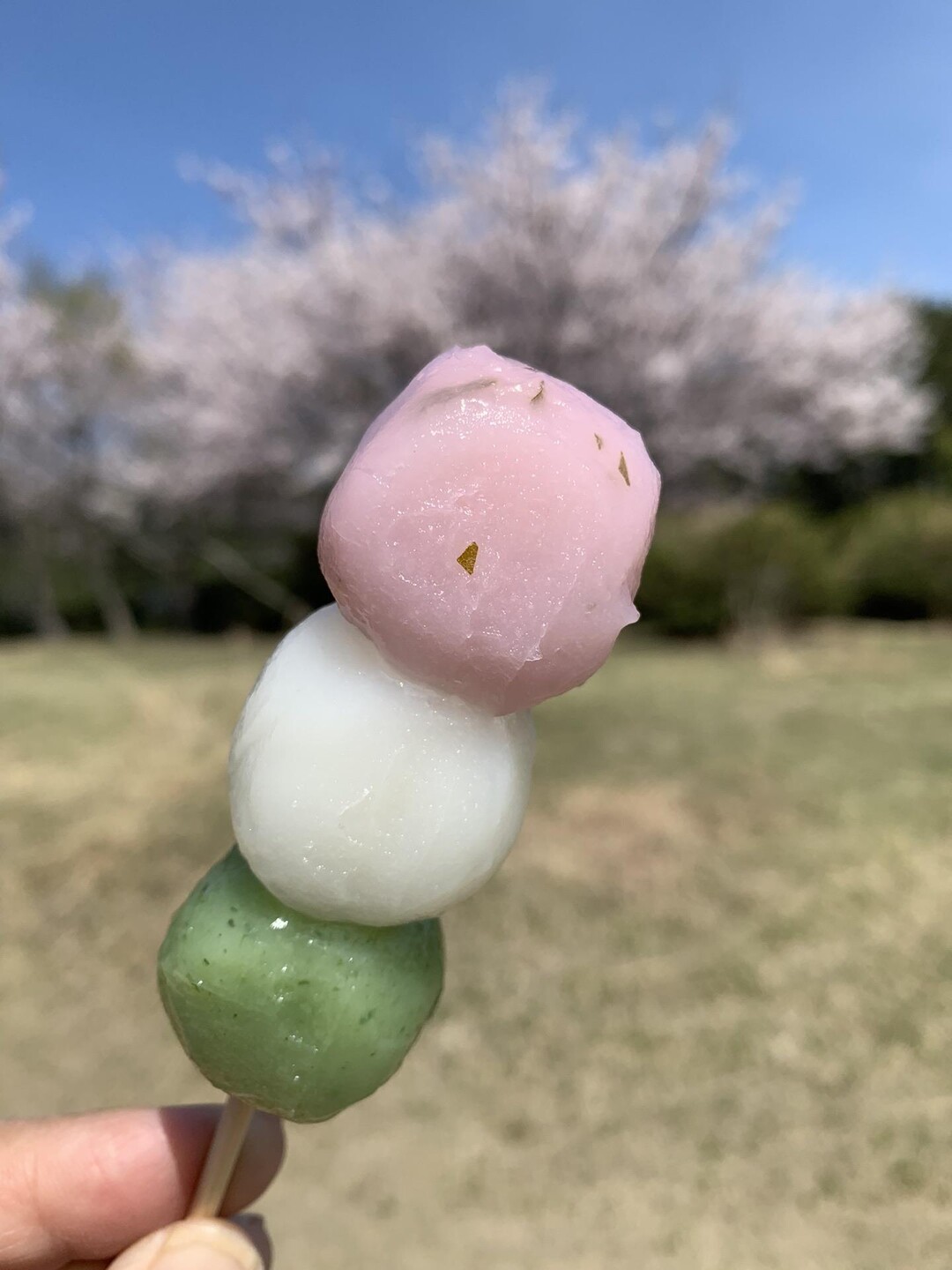 夕立受山 / kiku**さんの夕立受山の活動データ | YAMAP / ヤマップ