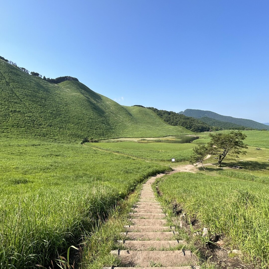 倶留尊山・曽爾高原・古光山-2023-06-19 / T_K_D_さんの倶留尊山・曽爾高原・古光山の活動データ | YAMAP / ヤマップ